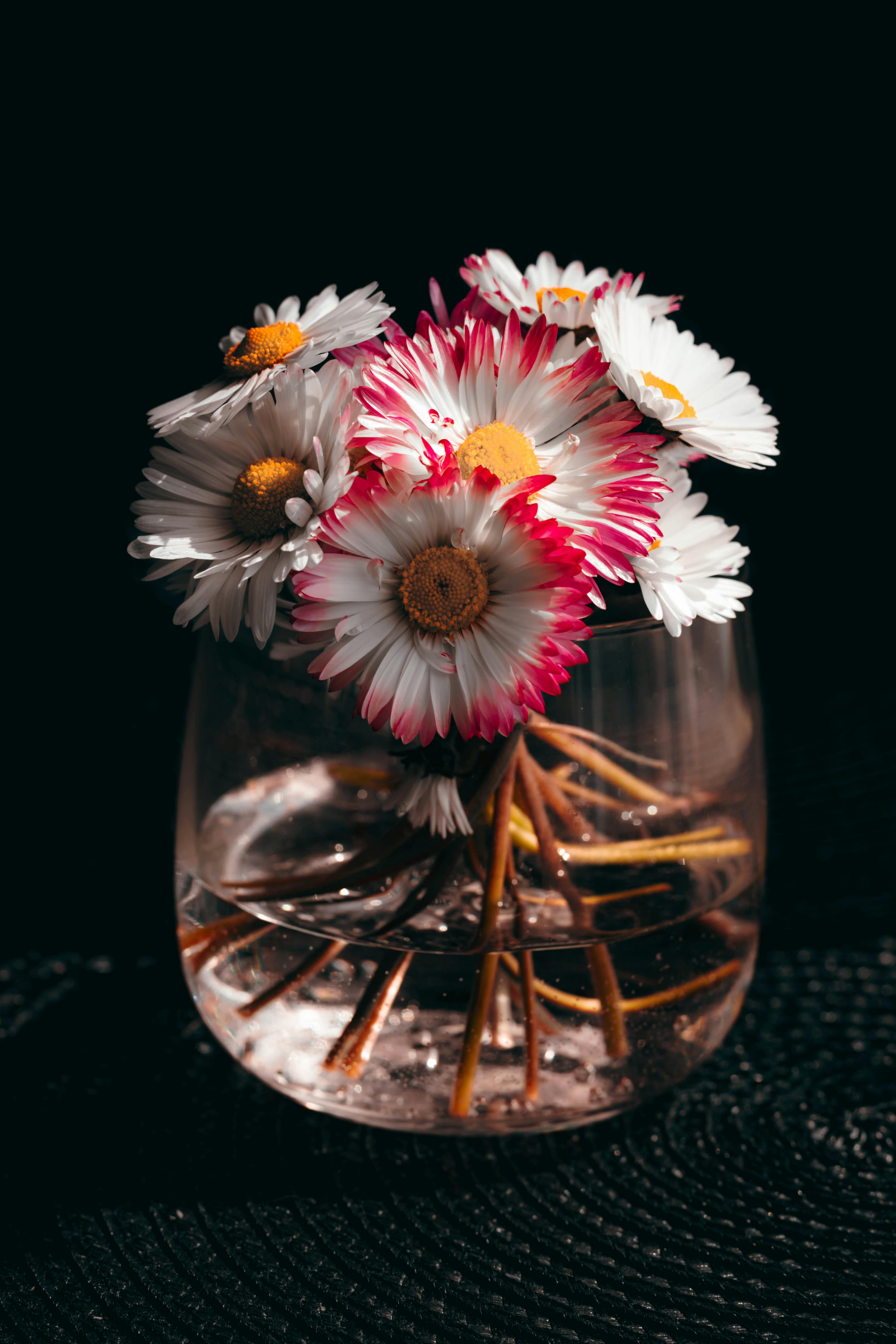 Perfectly Reasonable Photos, Download The BEST Free Perfectly ...