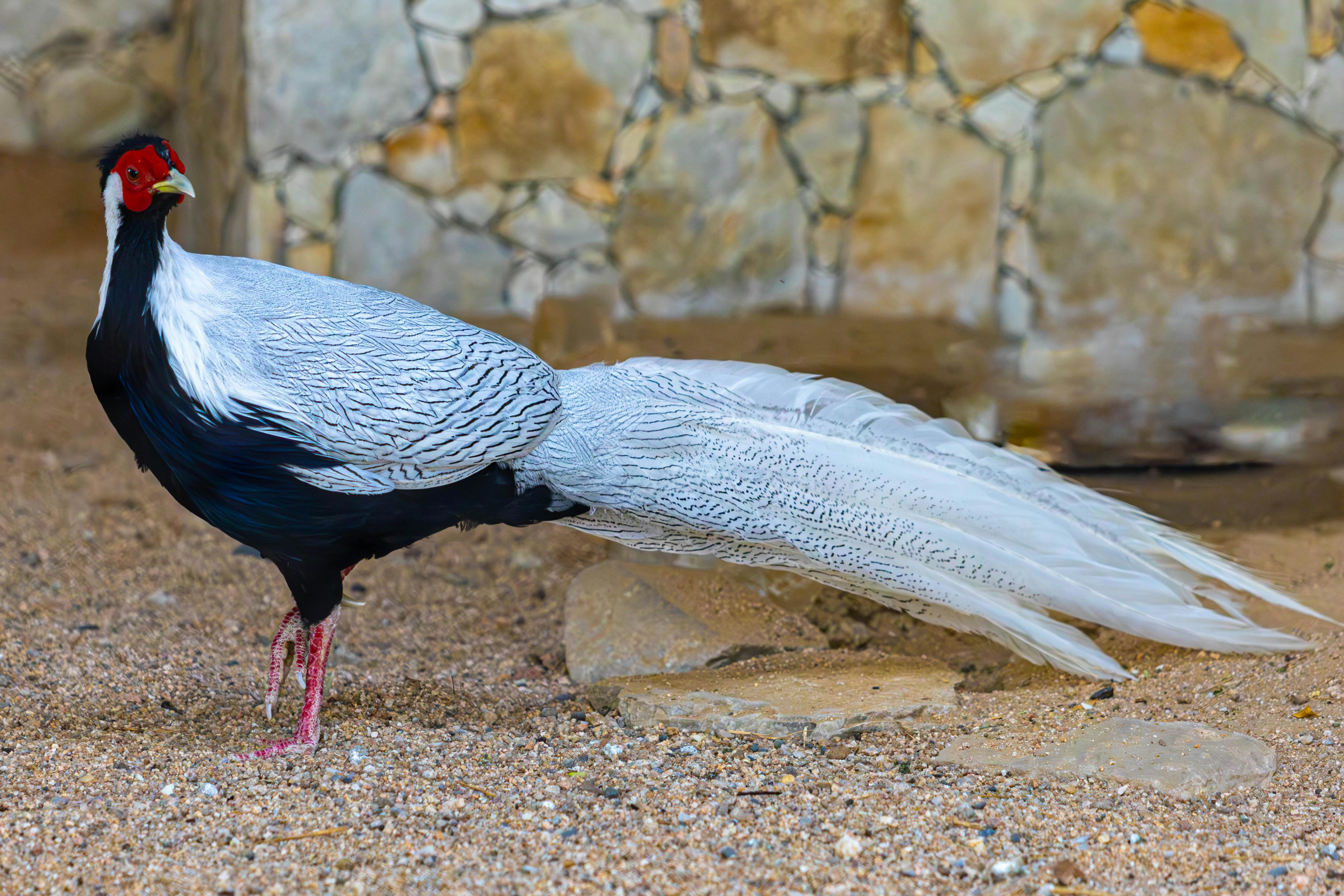 Upland Area Photos, Download The BEST Free Upland Area Stock Photos ...