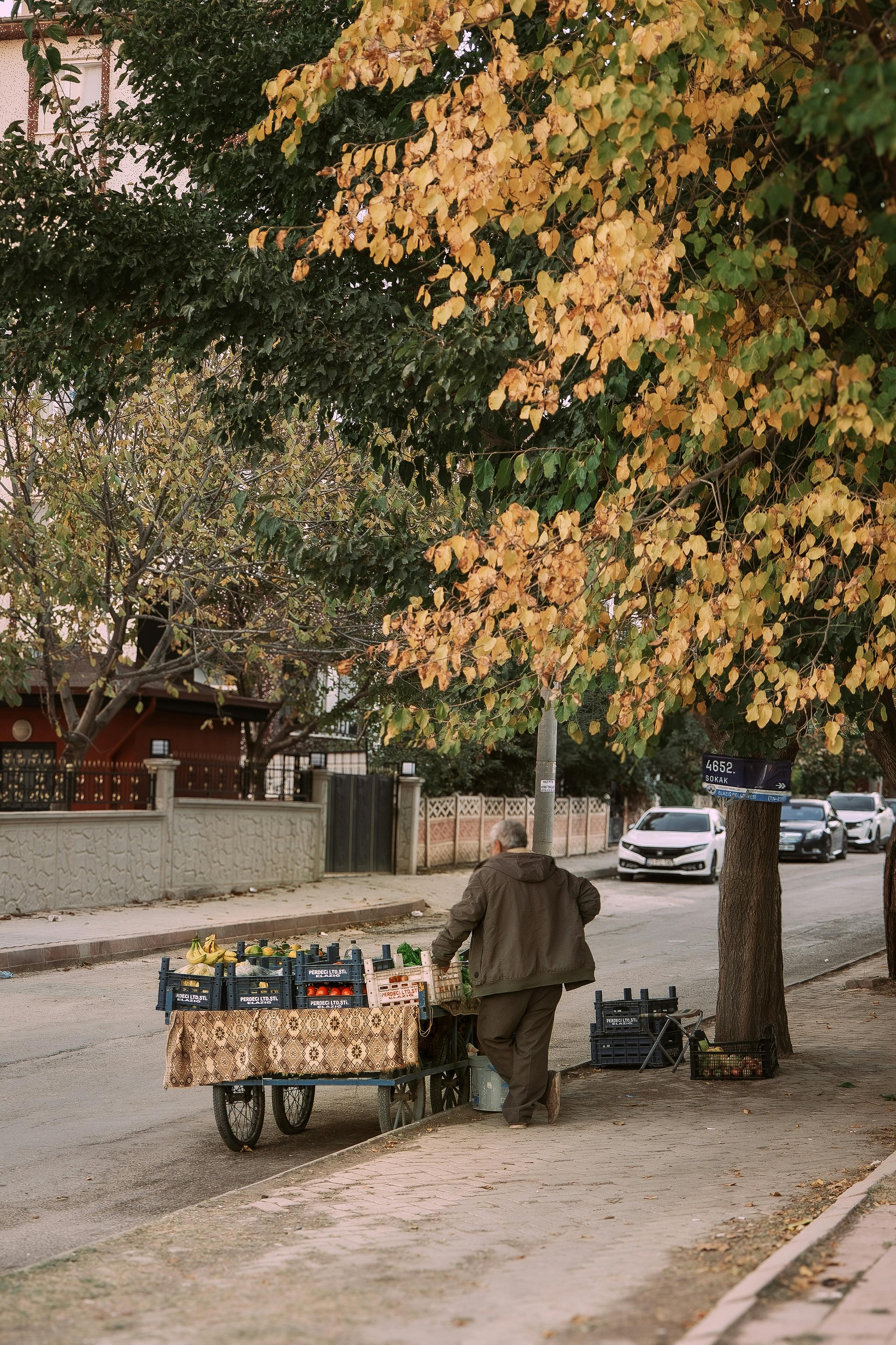Roadside Vending Photos, Download The BEST Free Roadside Vending Stock ...