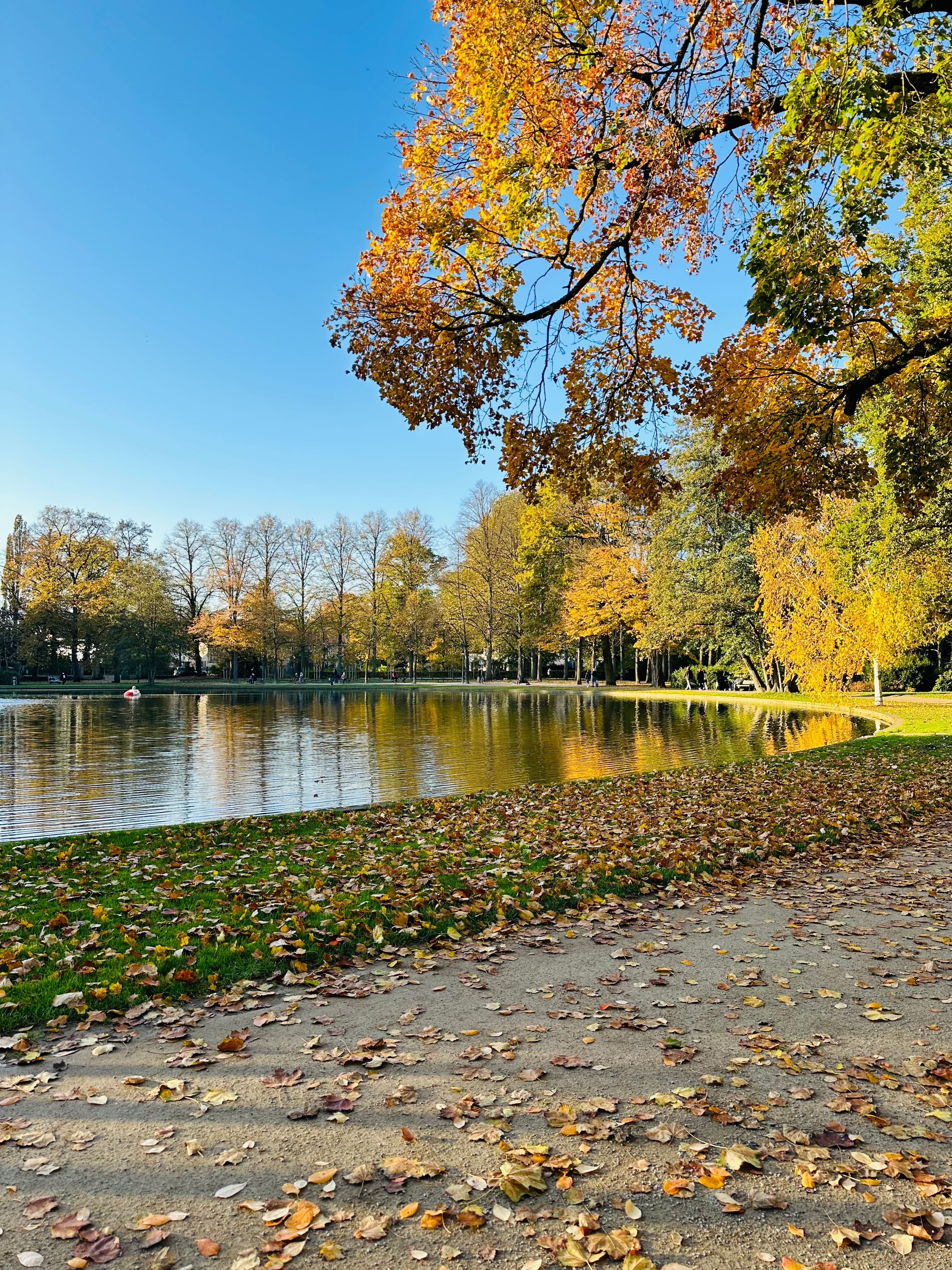 Autumn Scene by a Serene Lake in Celle, Germany · Free Stock Photo