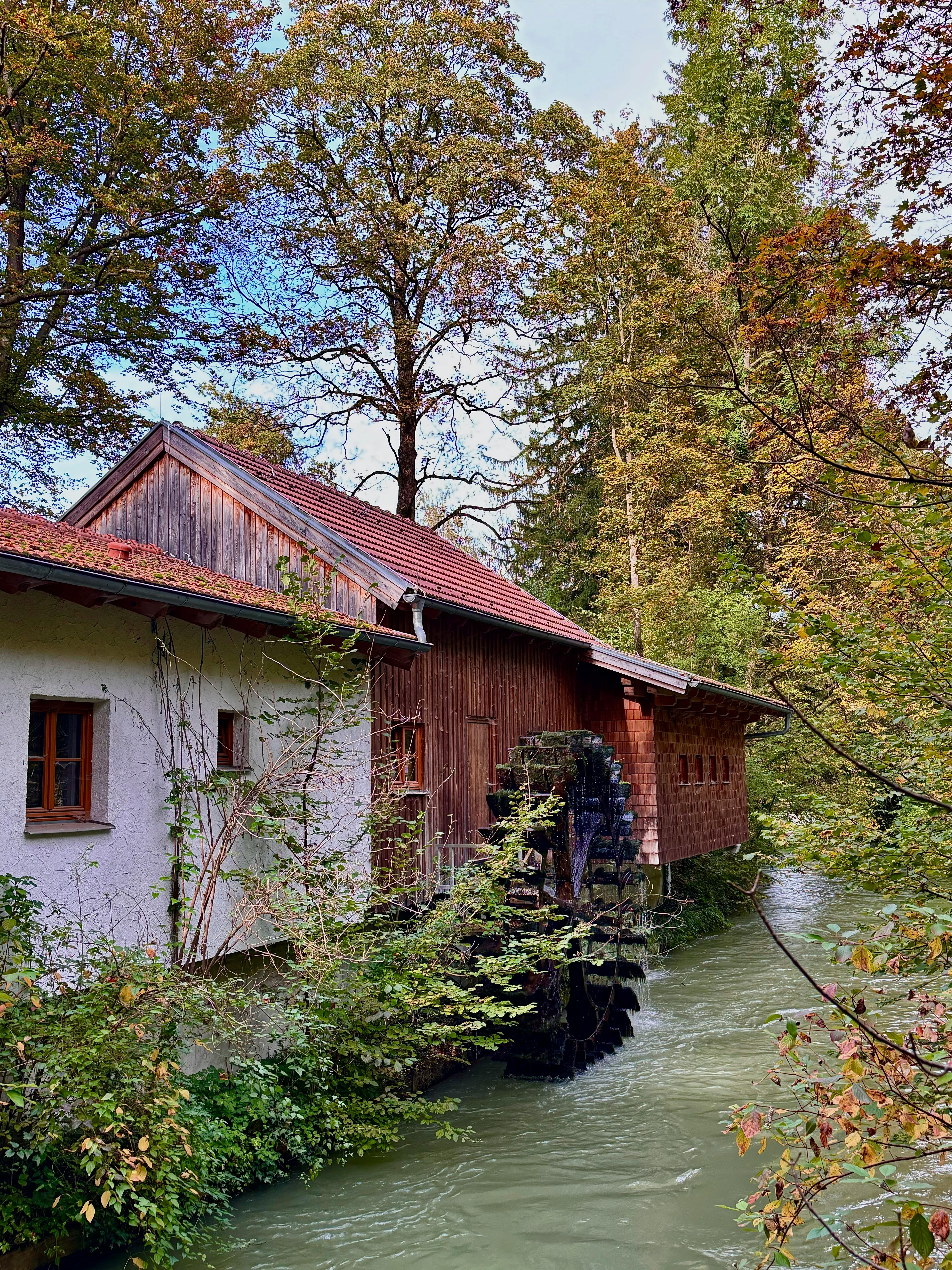 Rustic Watermill by a Tranquil Forest Stream · Free Stock Photo