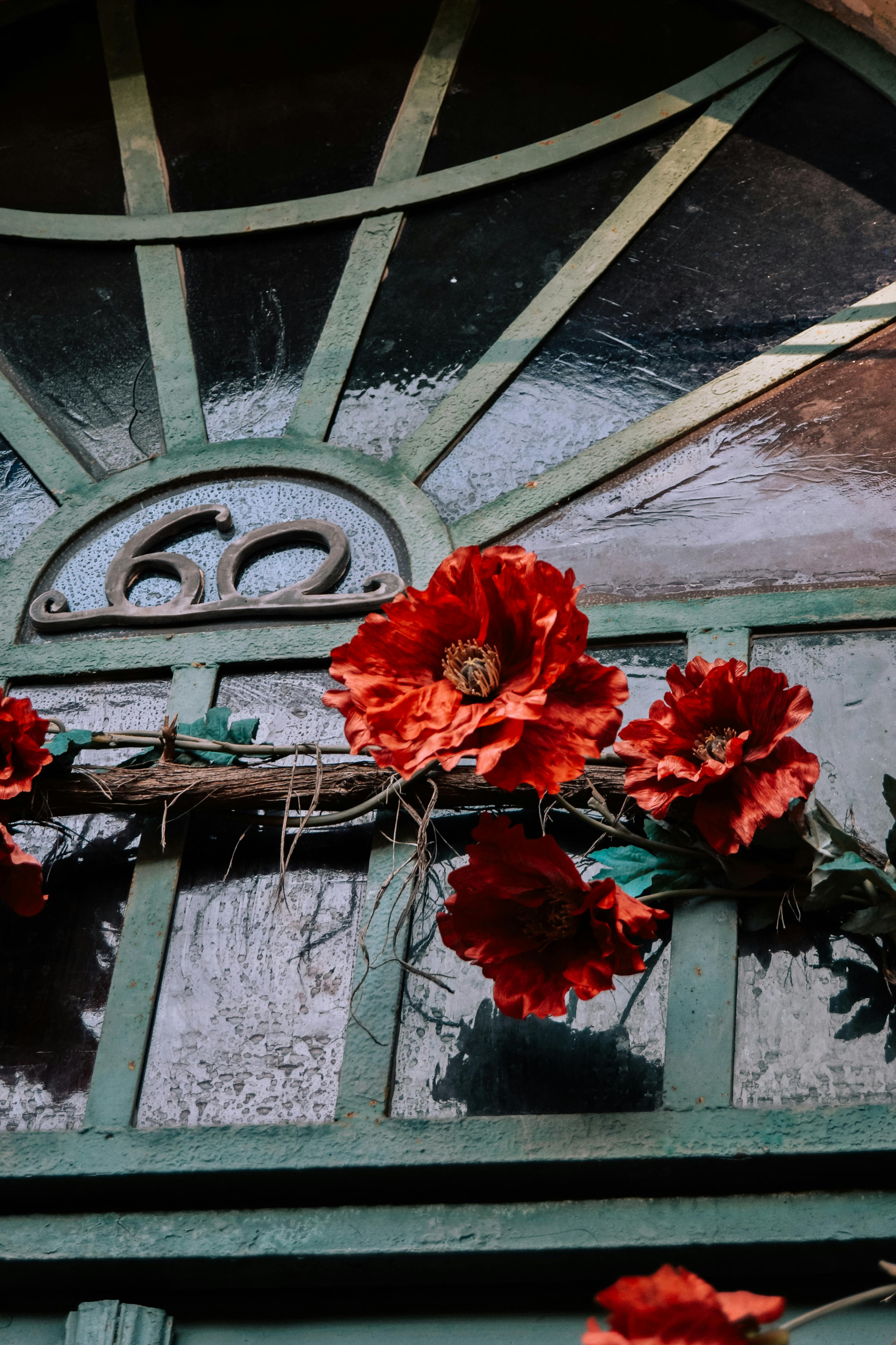 Details Vom Photos, Download The BEST Free Details Vom Stock Photos ...