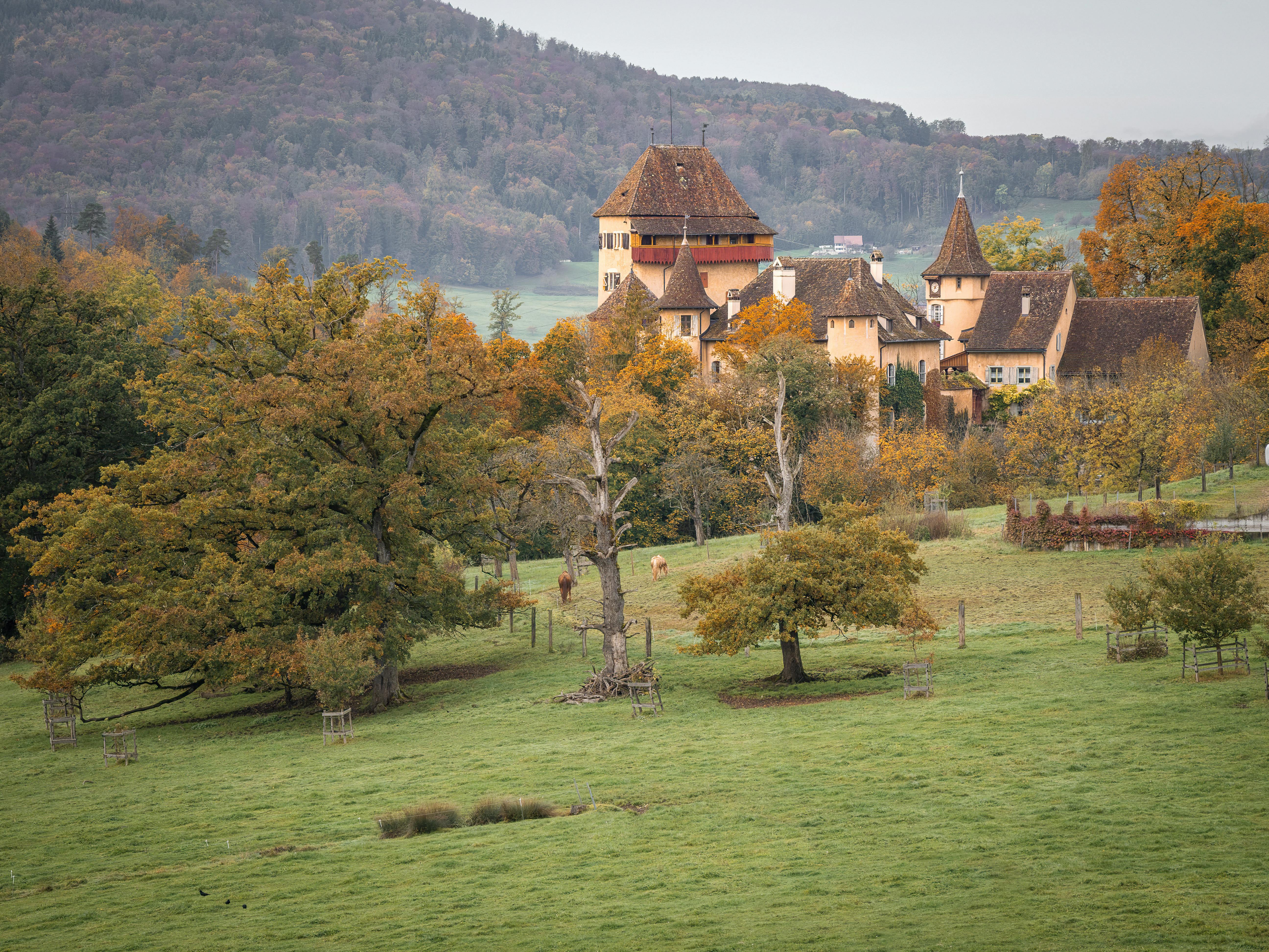 Diva Castle Photos, Download The BEST Free Diva Castle Stock Photos ...