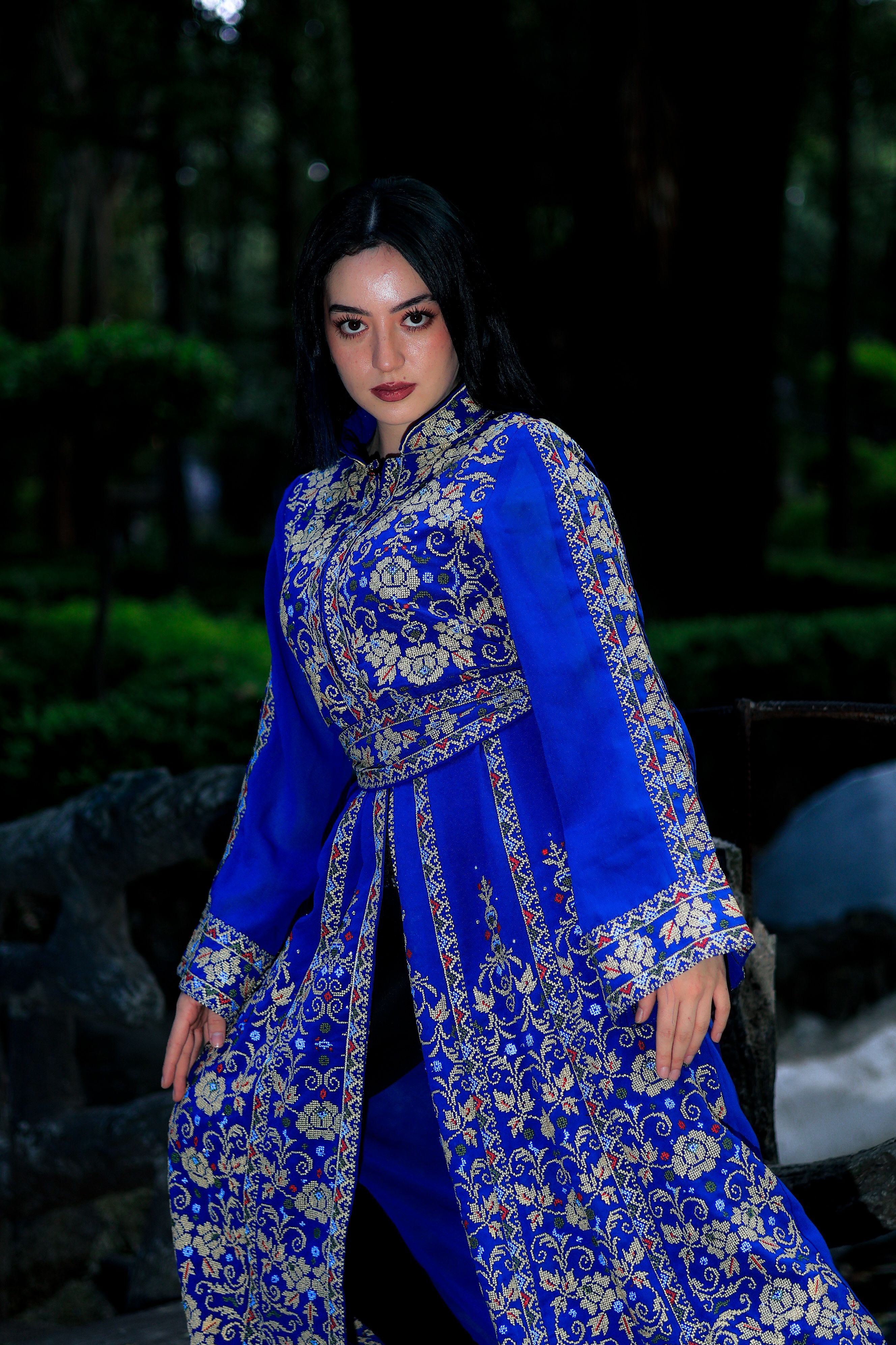Elegant Woman in Blue Traditional Dress Outdoors · Free Stock Photo
