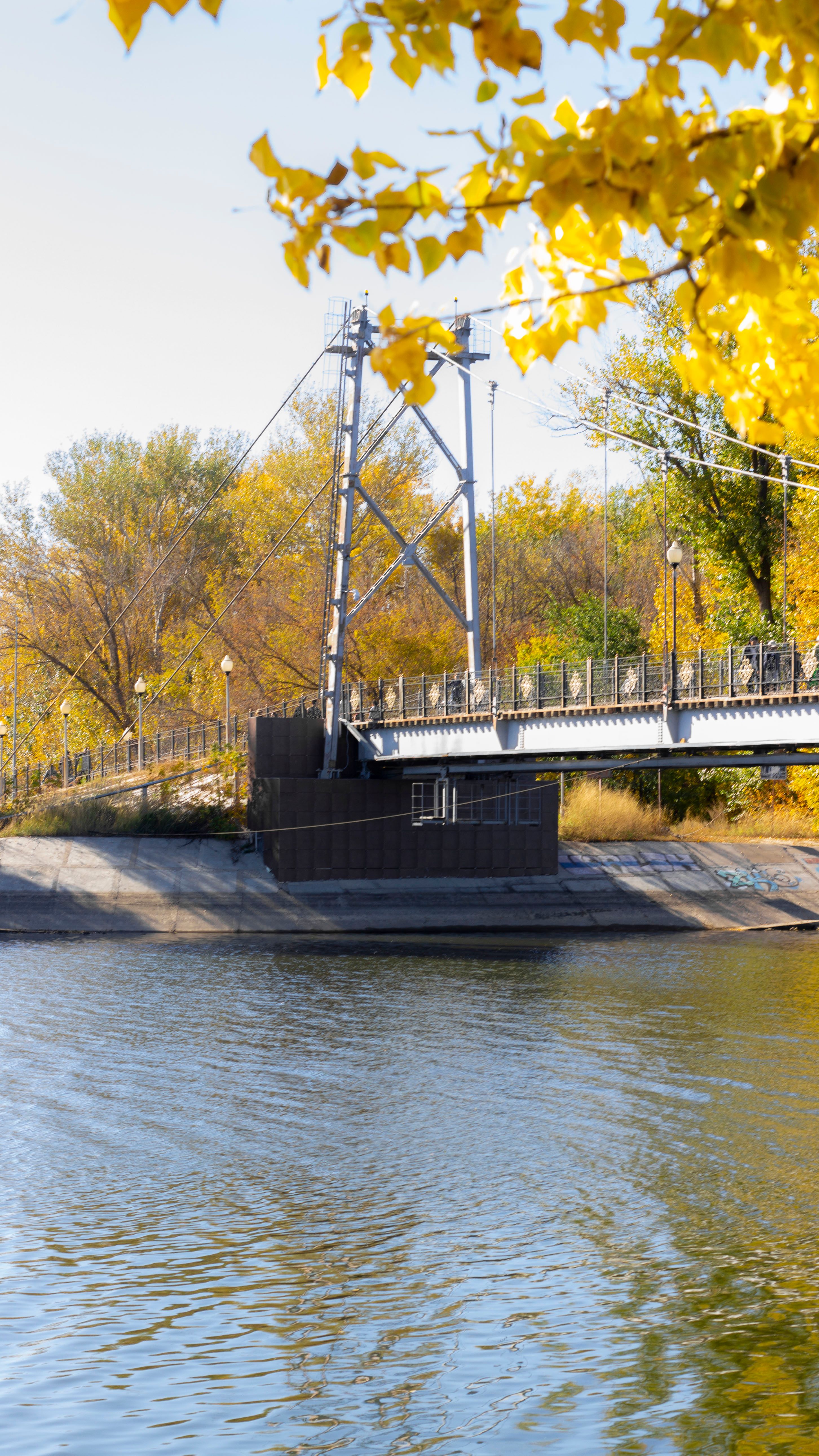 Scenic Autumn Bridge Over Serene River · Free Stock Photo