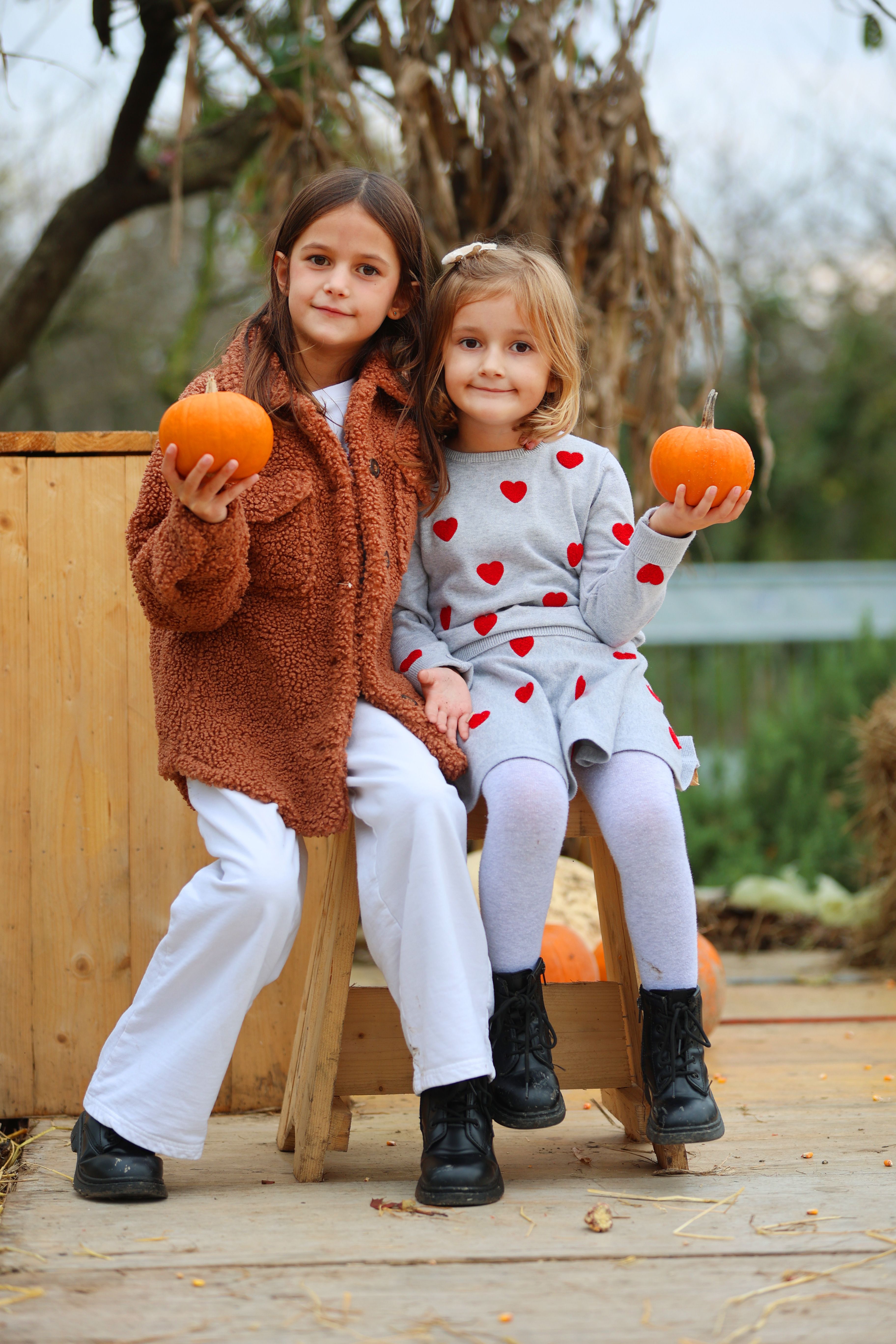 Two Girls Holding Pumpkins in Autumn Setting · Free Stock Photo