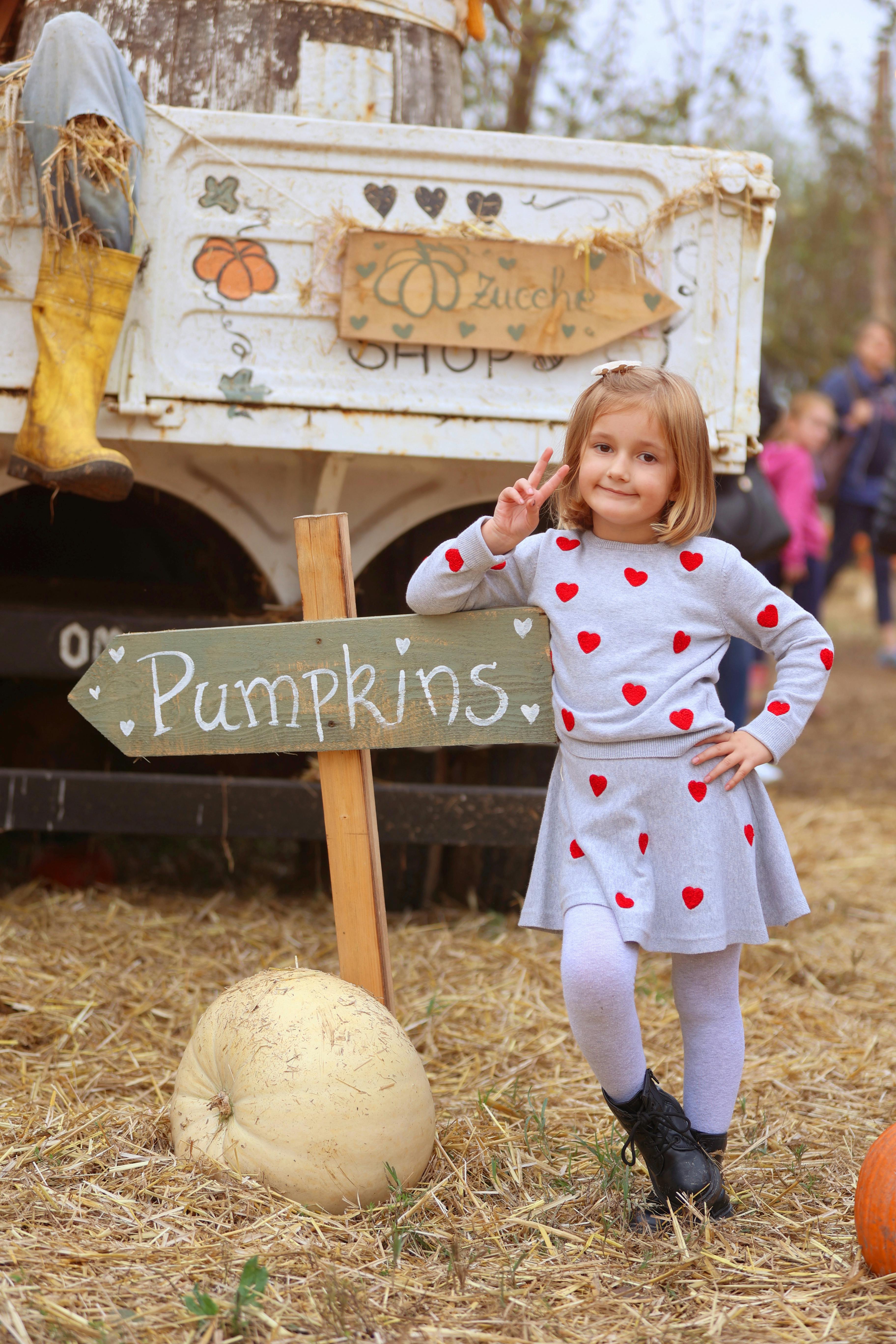 Little Girl Posing at Pumpkin Patch in Fall · Free Stock Photo