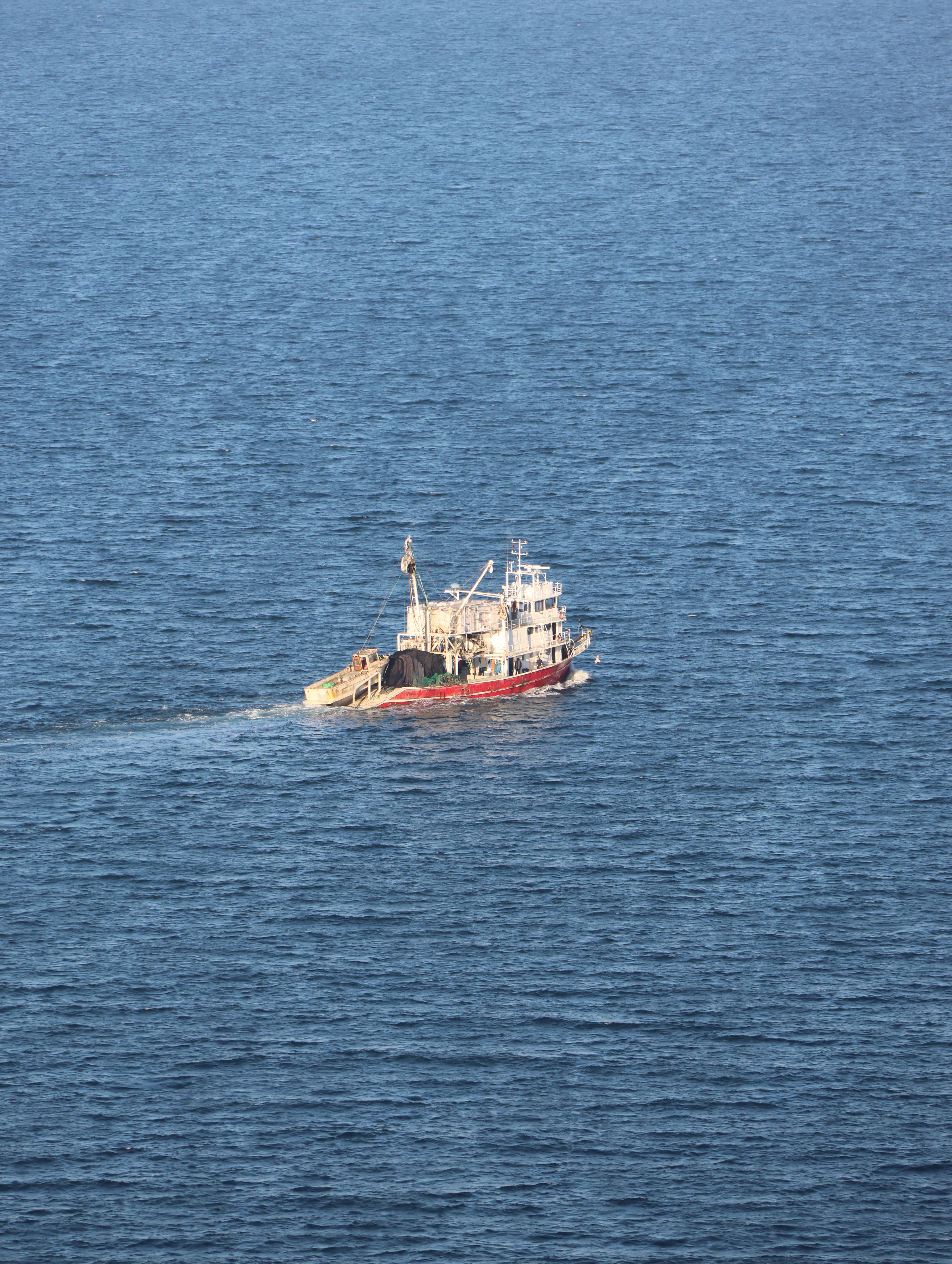 Cargo Ship Navigating the Azure Waters of Türkiye · Free Stock Photo