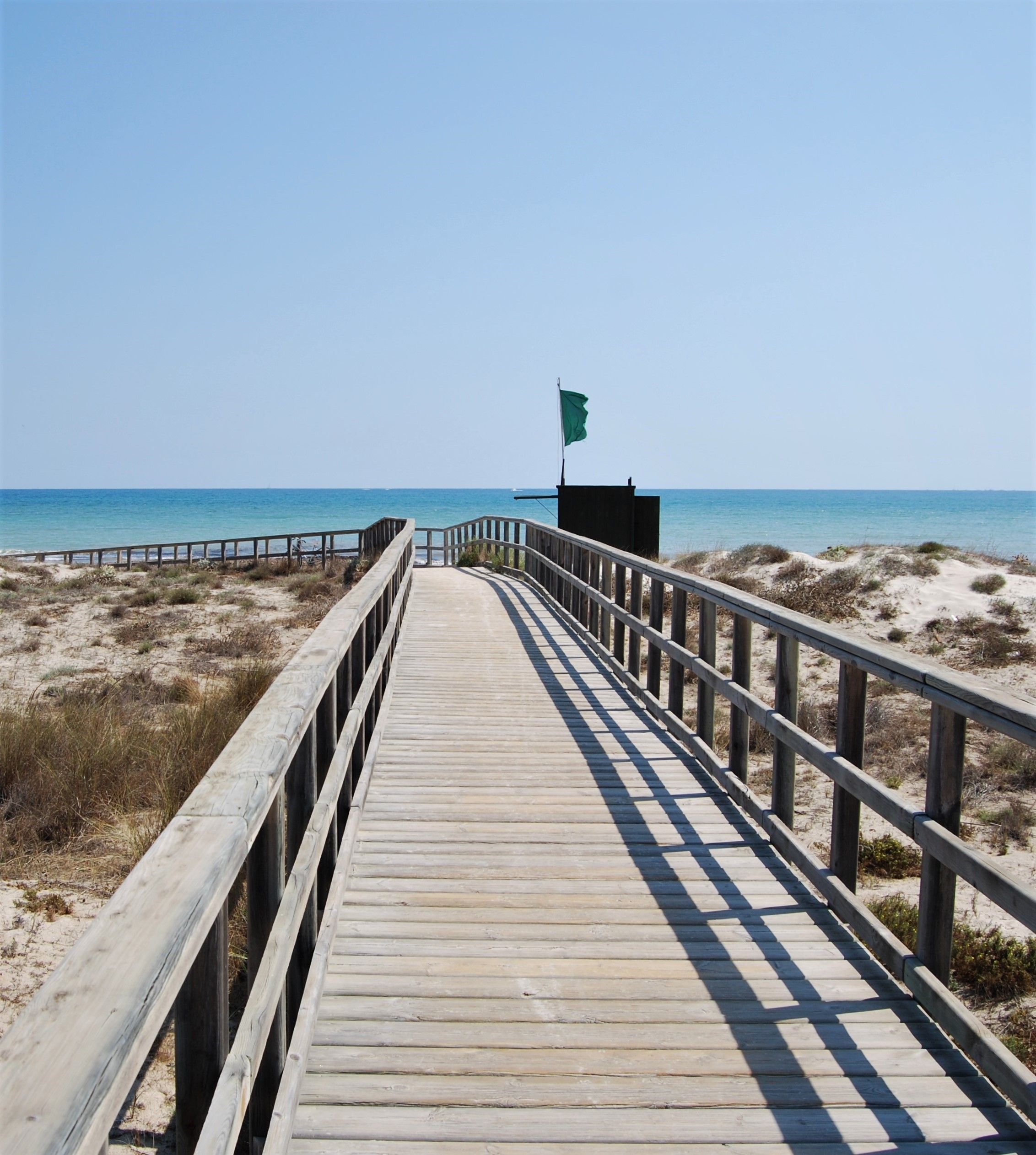 Beach Potrait Photos, Download The BEST Free Beach Potrait Stock Photos ...