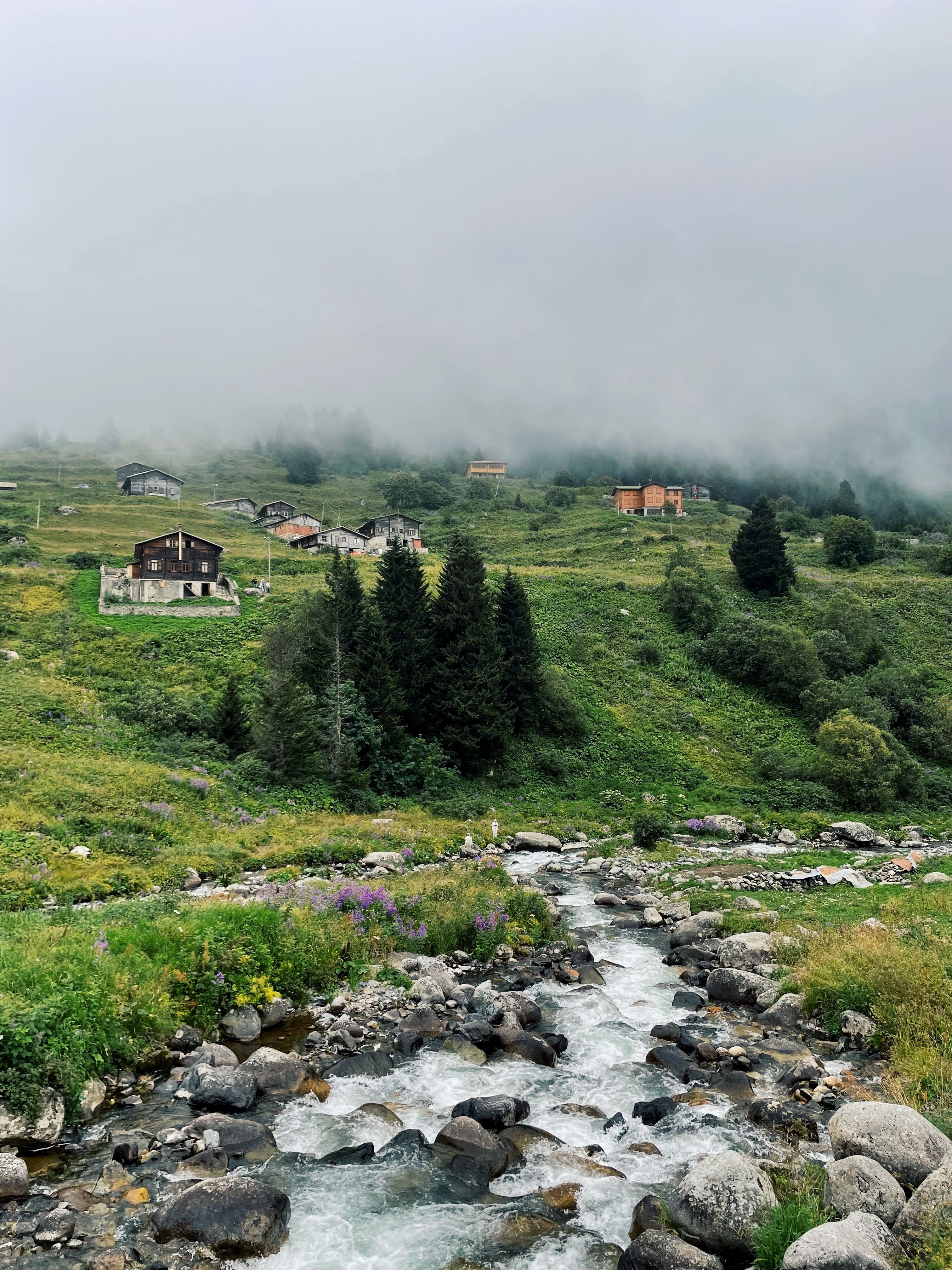Tranquil Mountain Village in Rize Turkey · Free Stock Photo
