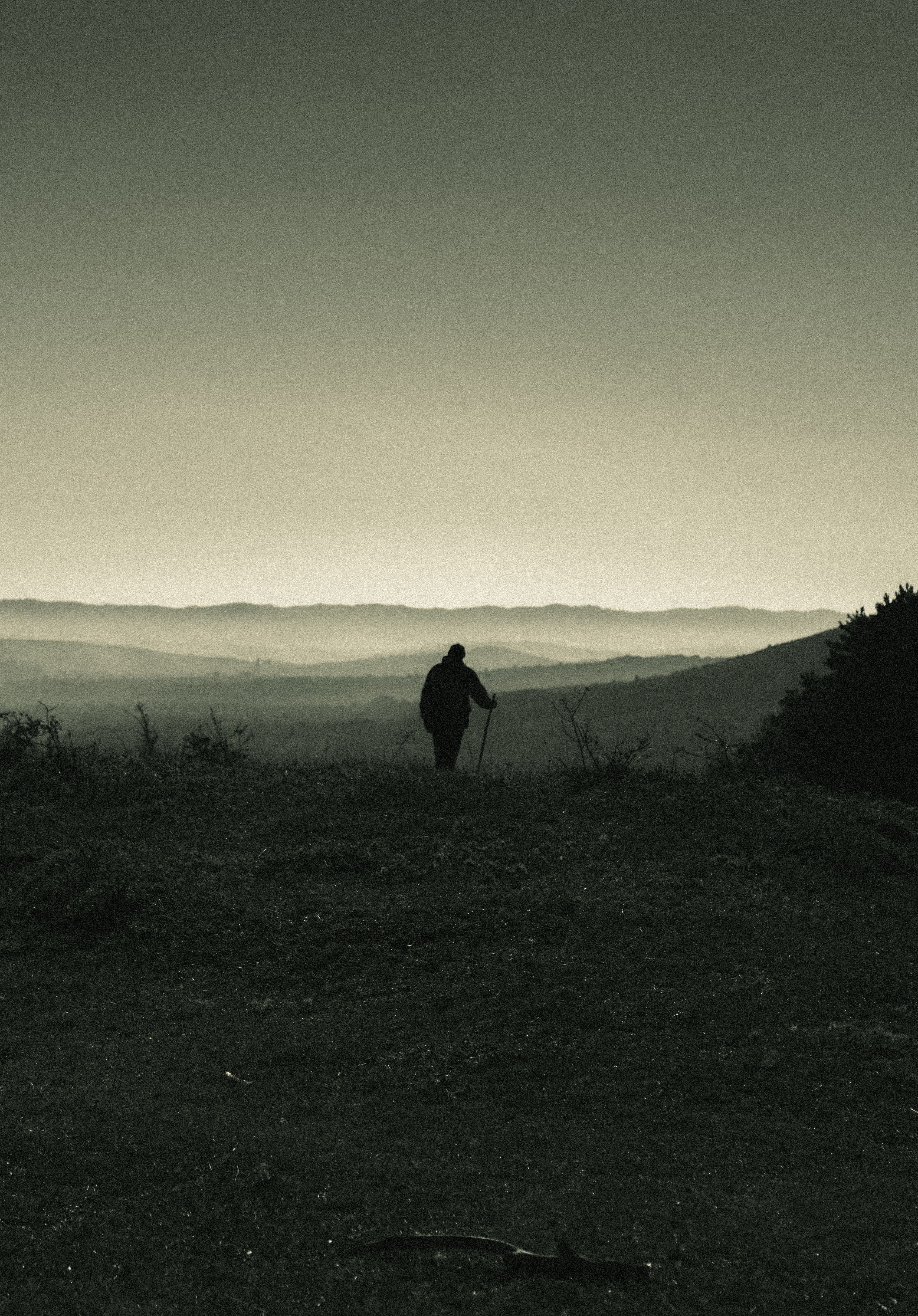 Quiet Dawn Photos, Download The BEST Free Quiet Dawn Stock Photos & HD ...