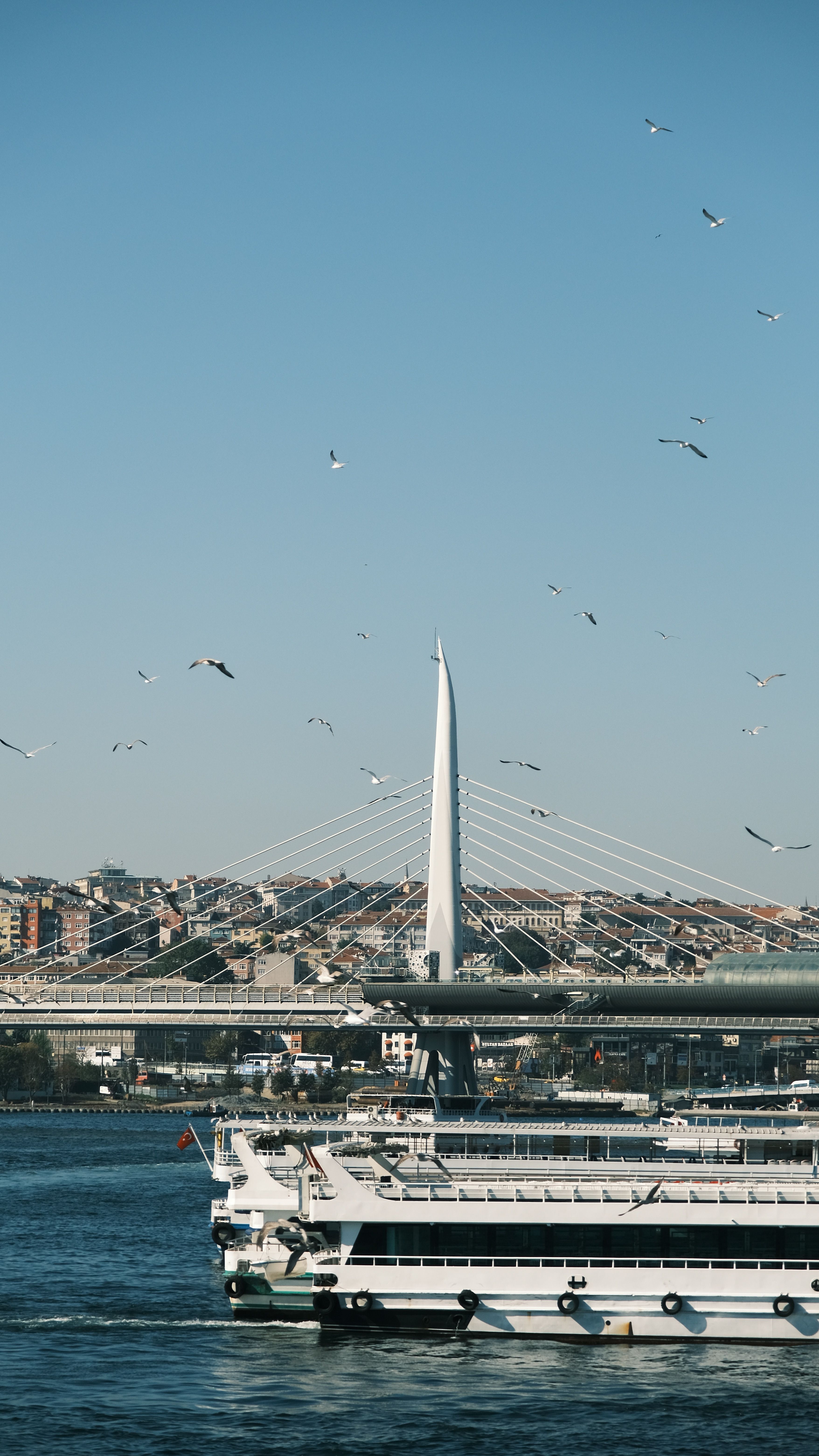Modern Bridge and Boats in Urban Waterfront Scene · Free Stock Photo
