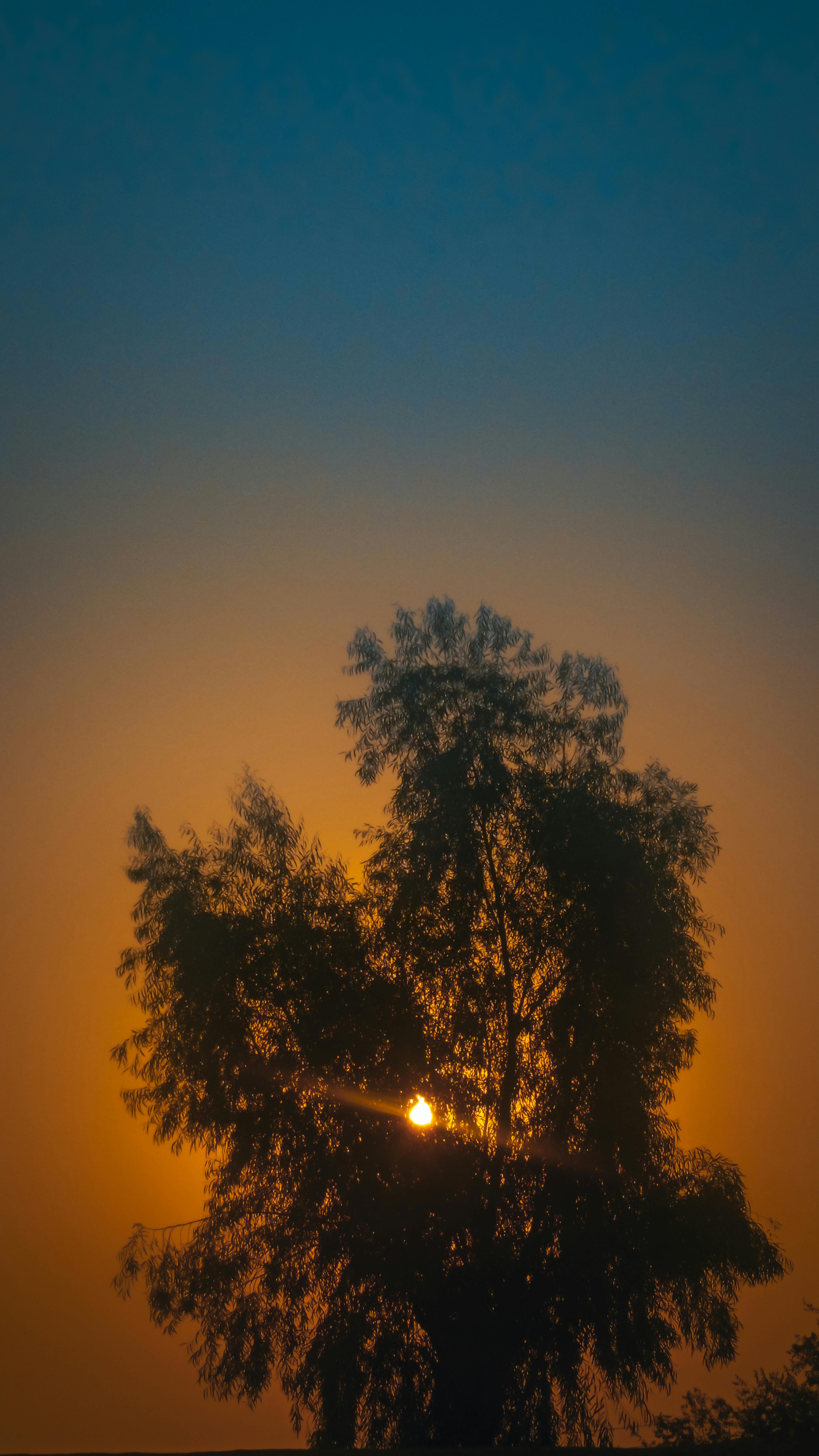 Tanda Backlit Photos, Download The BEST Free Tanda Backlit Stock Photos ...