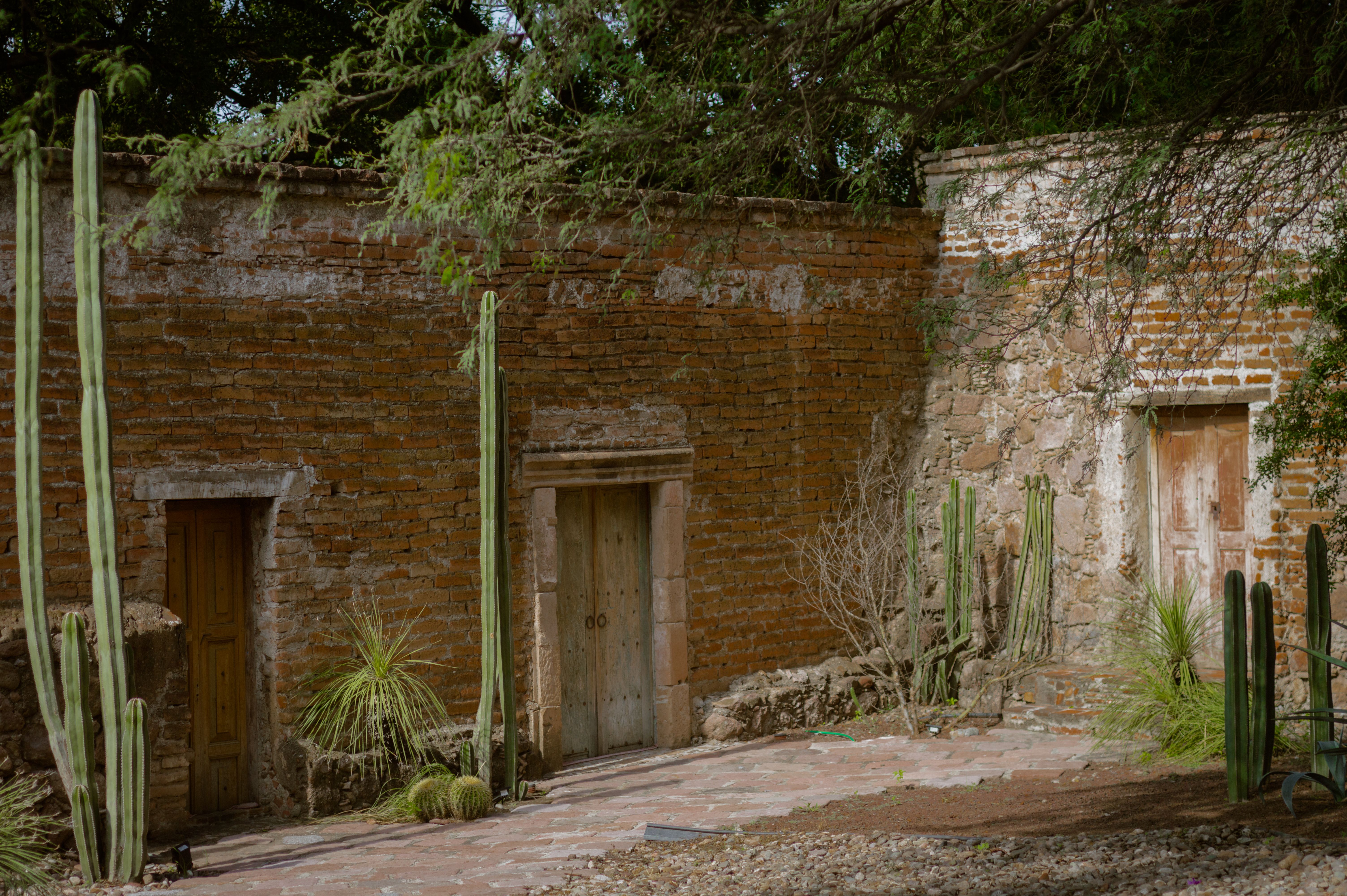 Historic Brick Building with Cacti in Desert · Free Stock Photo