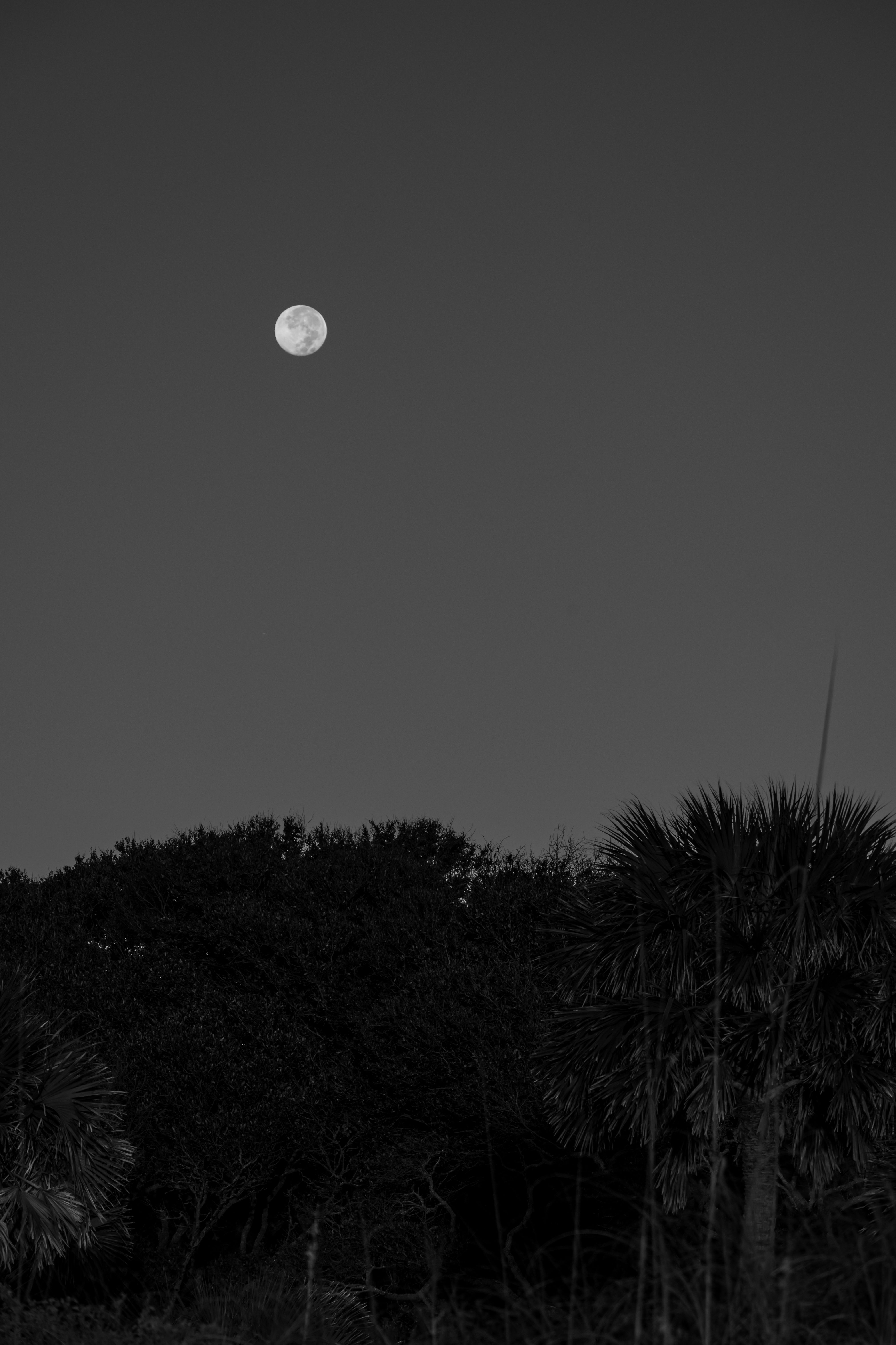 Black and White Nightscape with Moon · Free Stock Photo