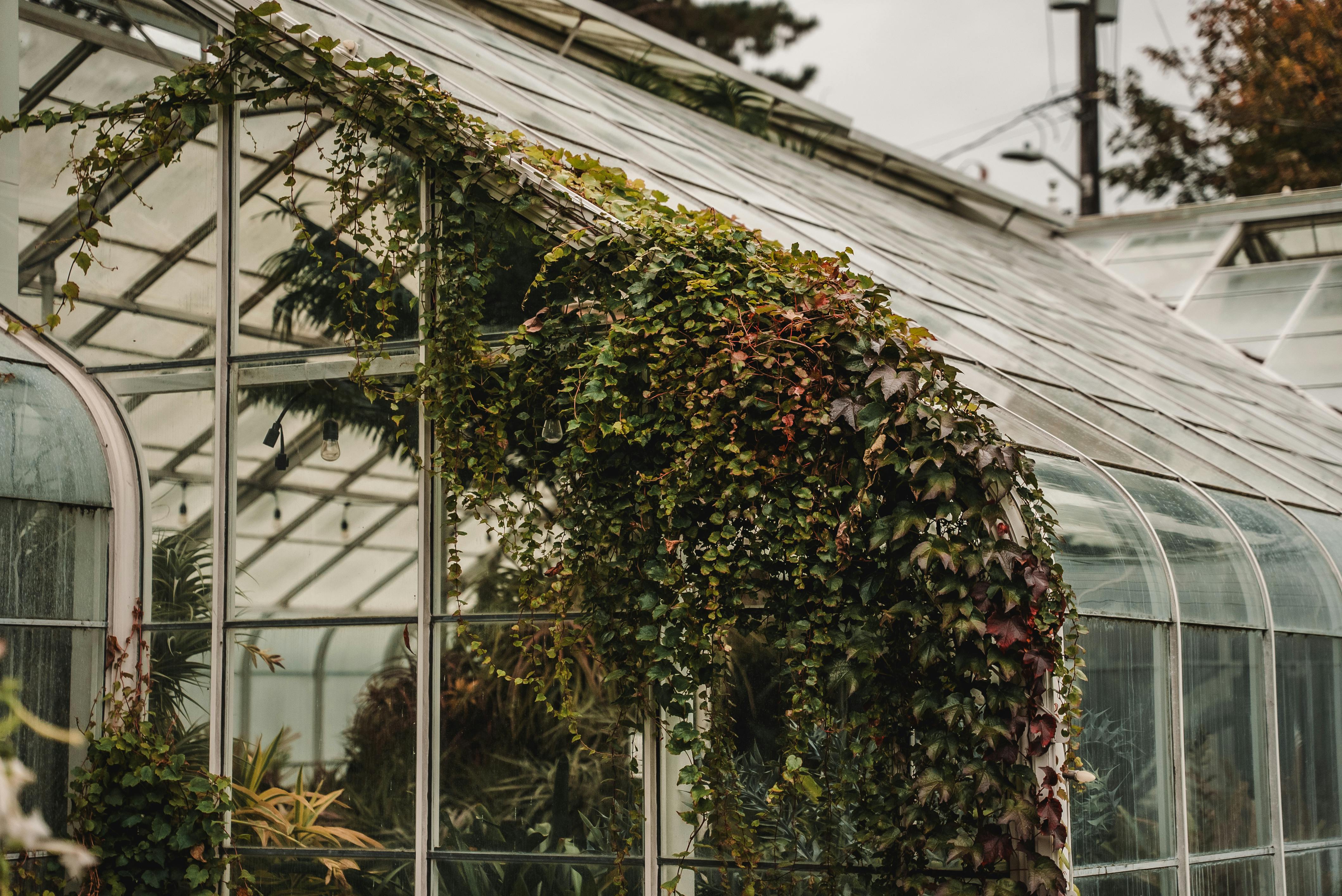 Glass Greenhouse with Lush Foliage in Seattle · Free Stock Photo