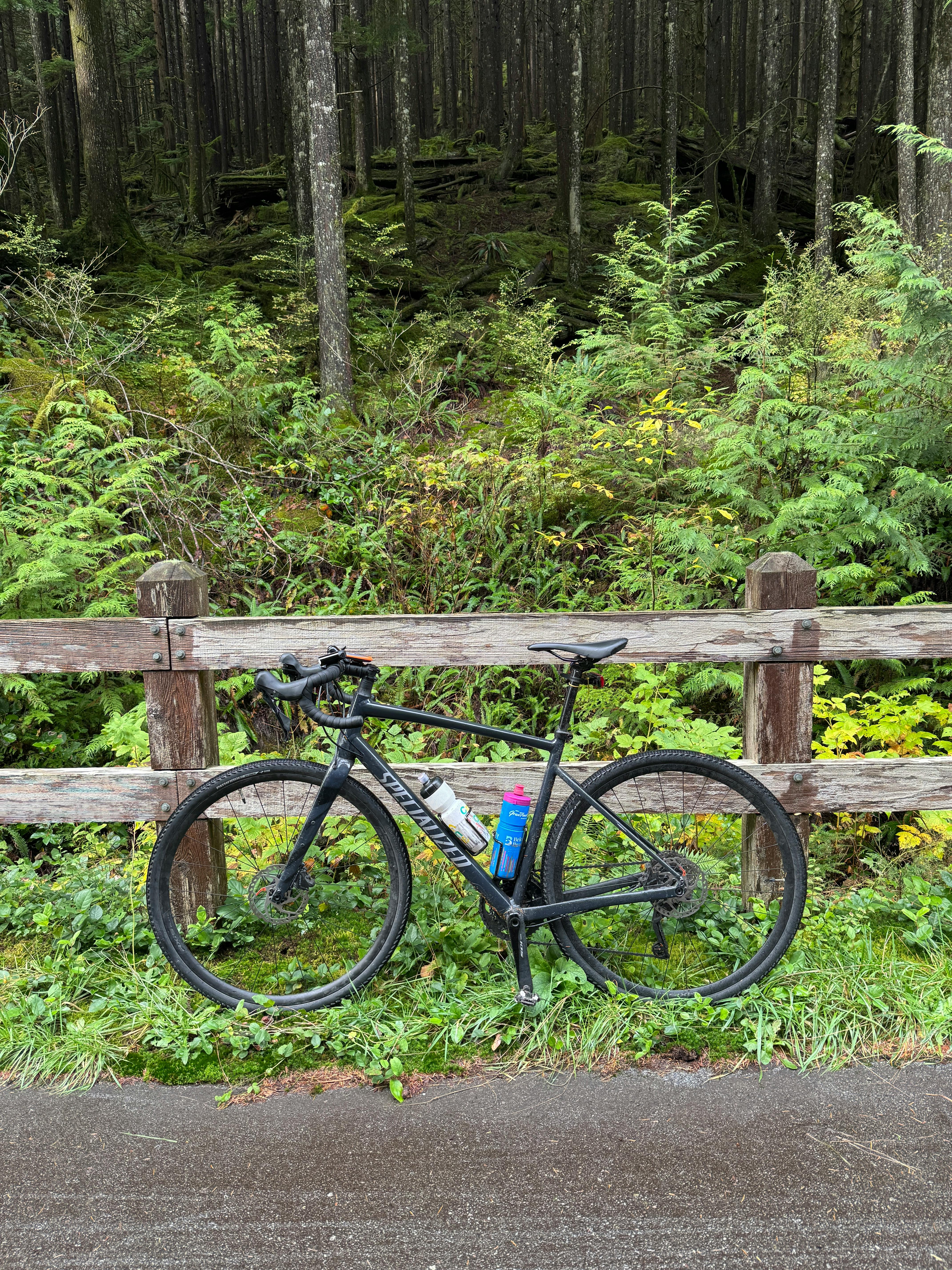 Mountain Bike Resting by Wooded Forest Fence · Free Stock Photo