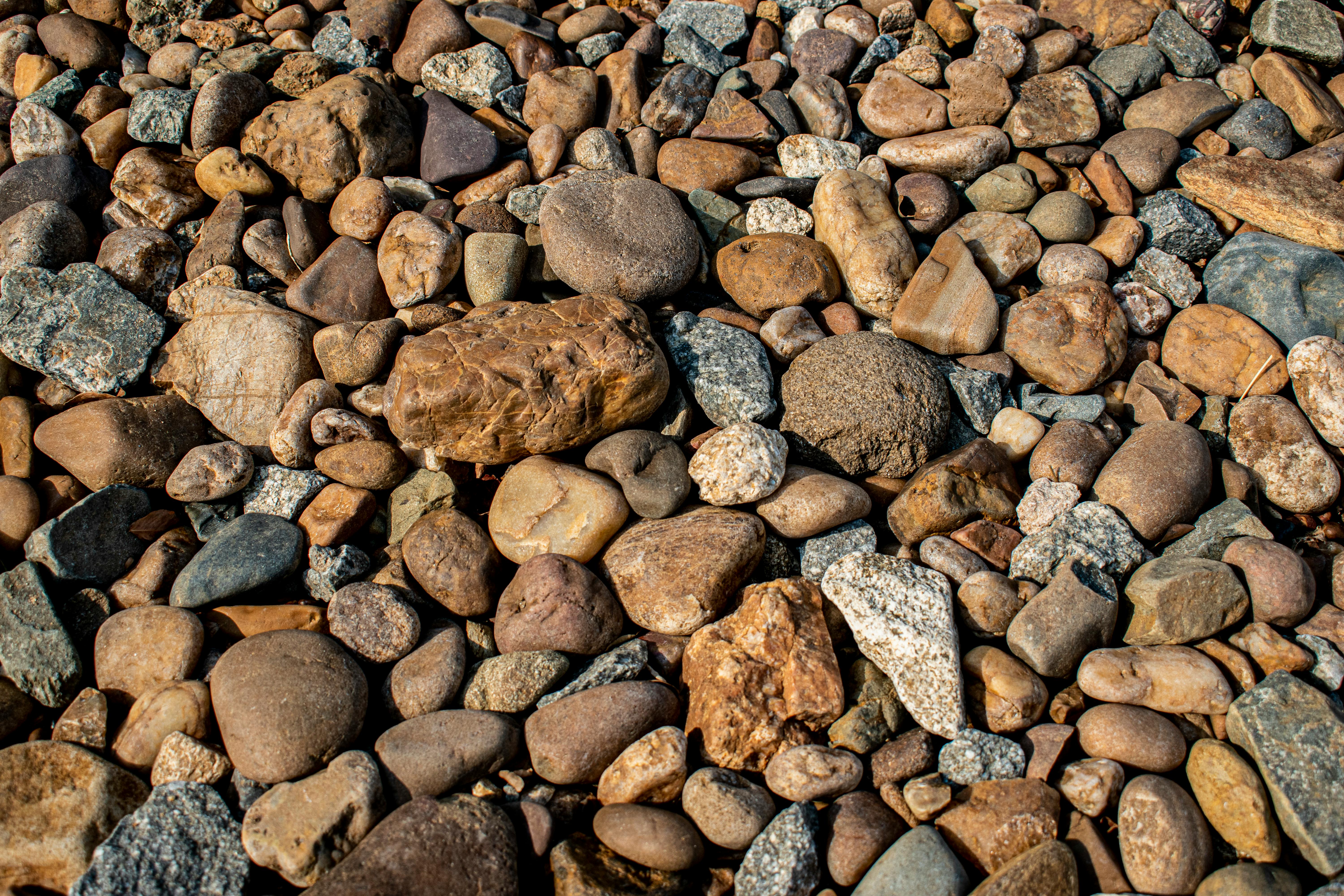 Natural River Stones Texture in Sambalpur · Free Stock Photo