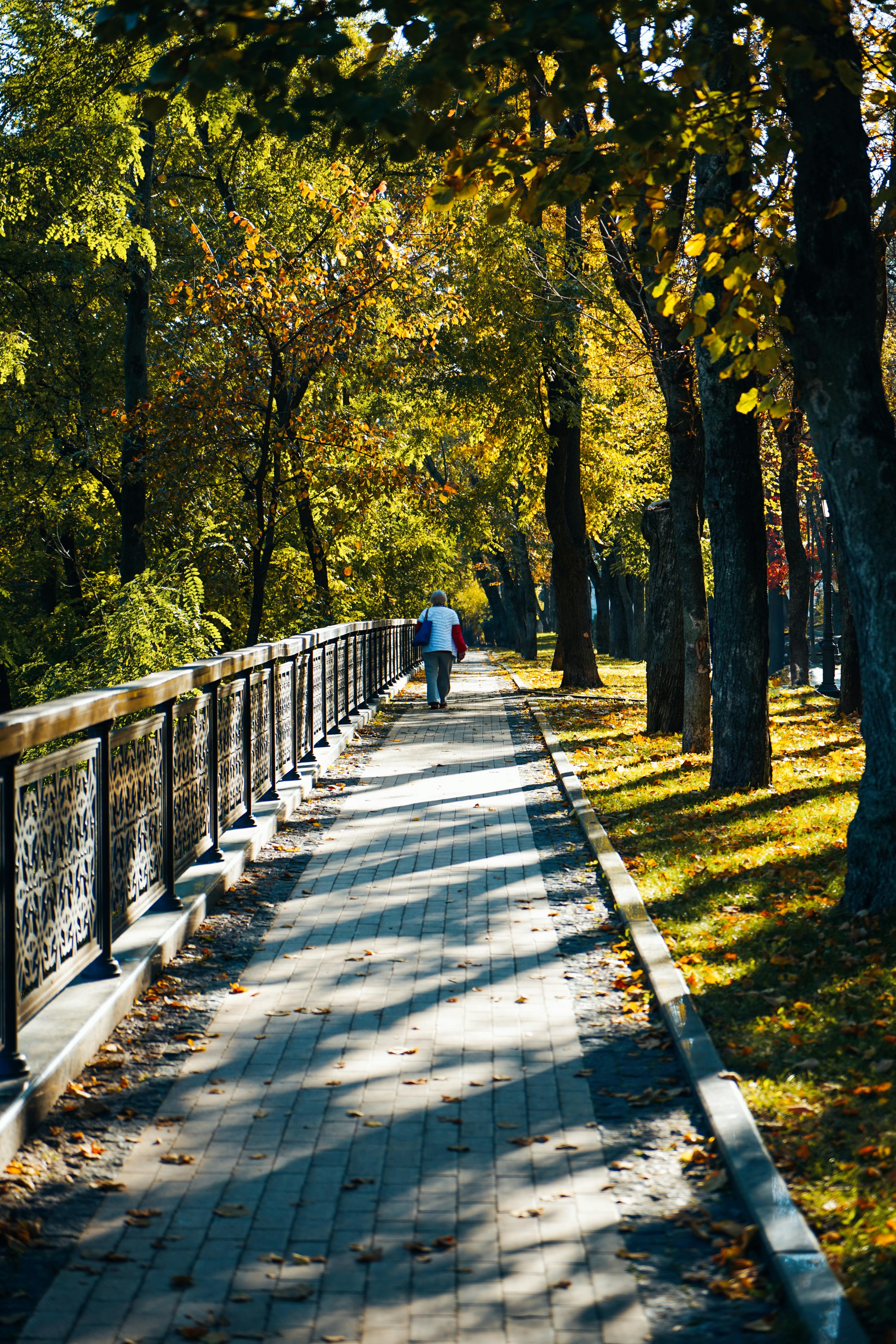 Autumn Walkway with Vibrant Foliage in Park · Free Stock Photo