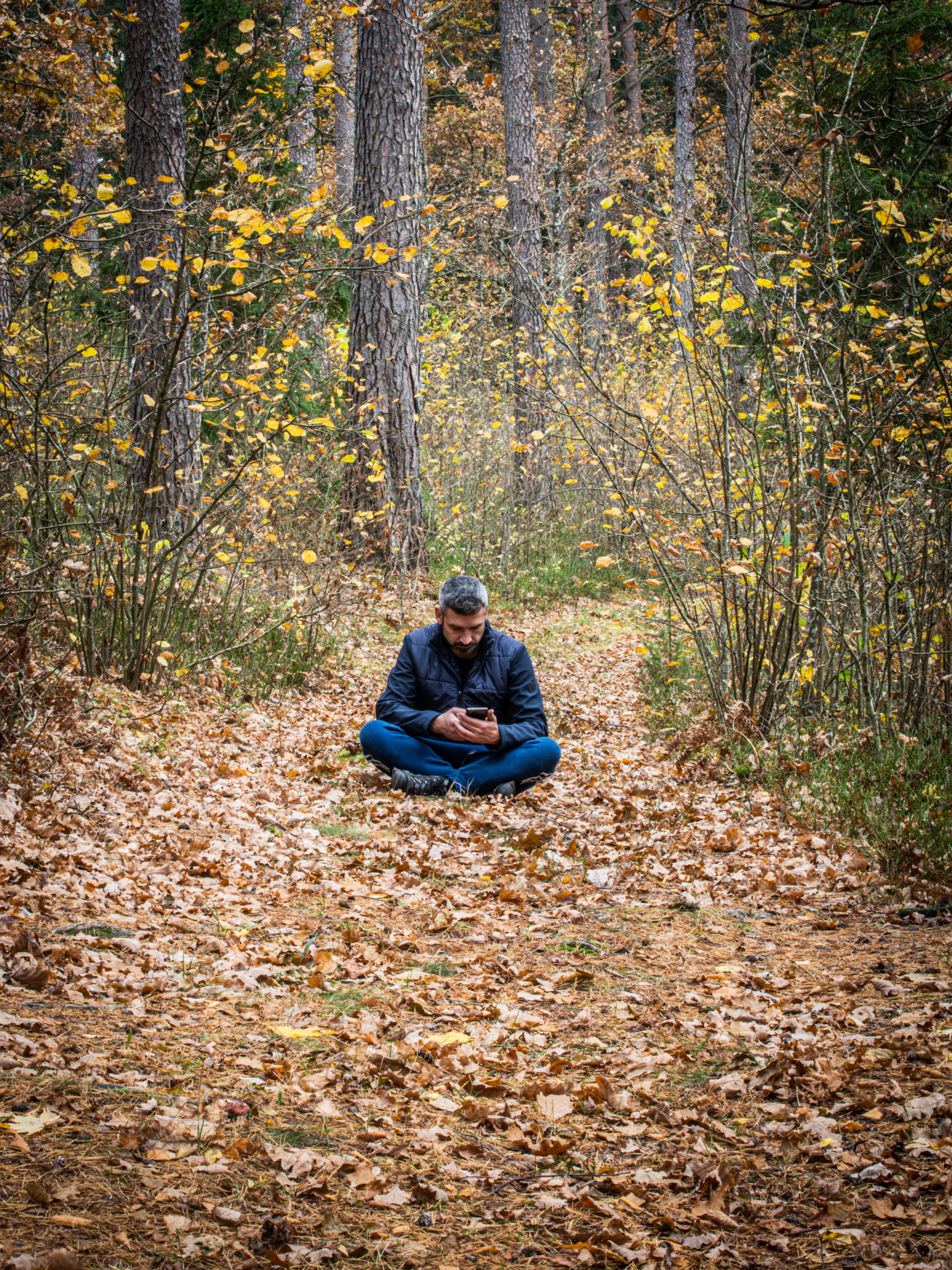 Man Sitting in Autumnal Lithuanian Forest · Free Stock Photo