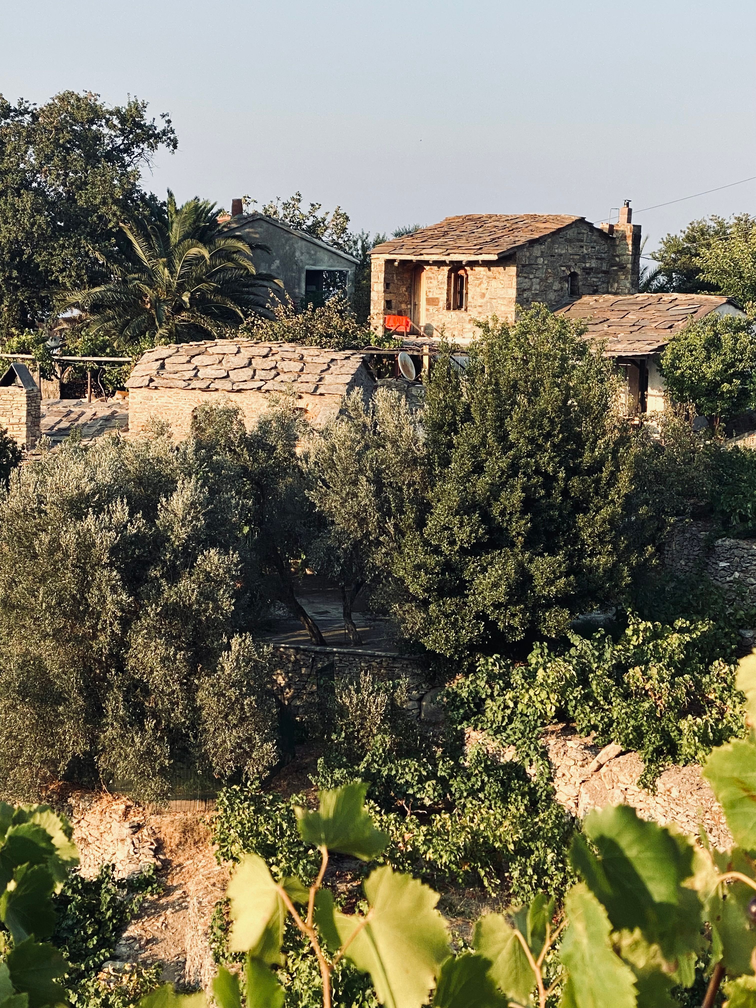 Rustic Stone Village House with Lush Surroundings · Free Stock Photo