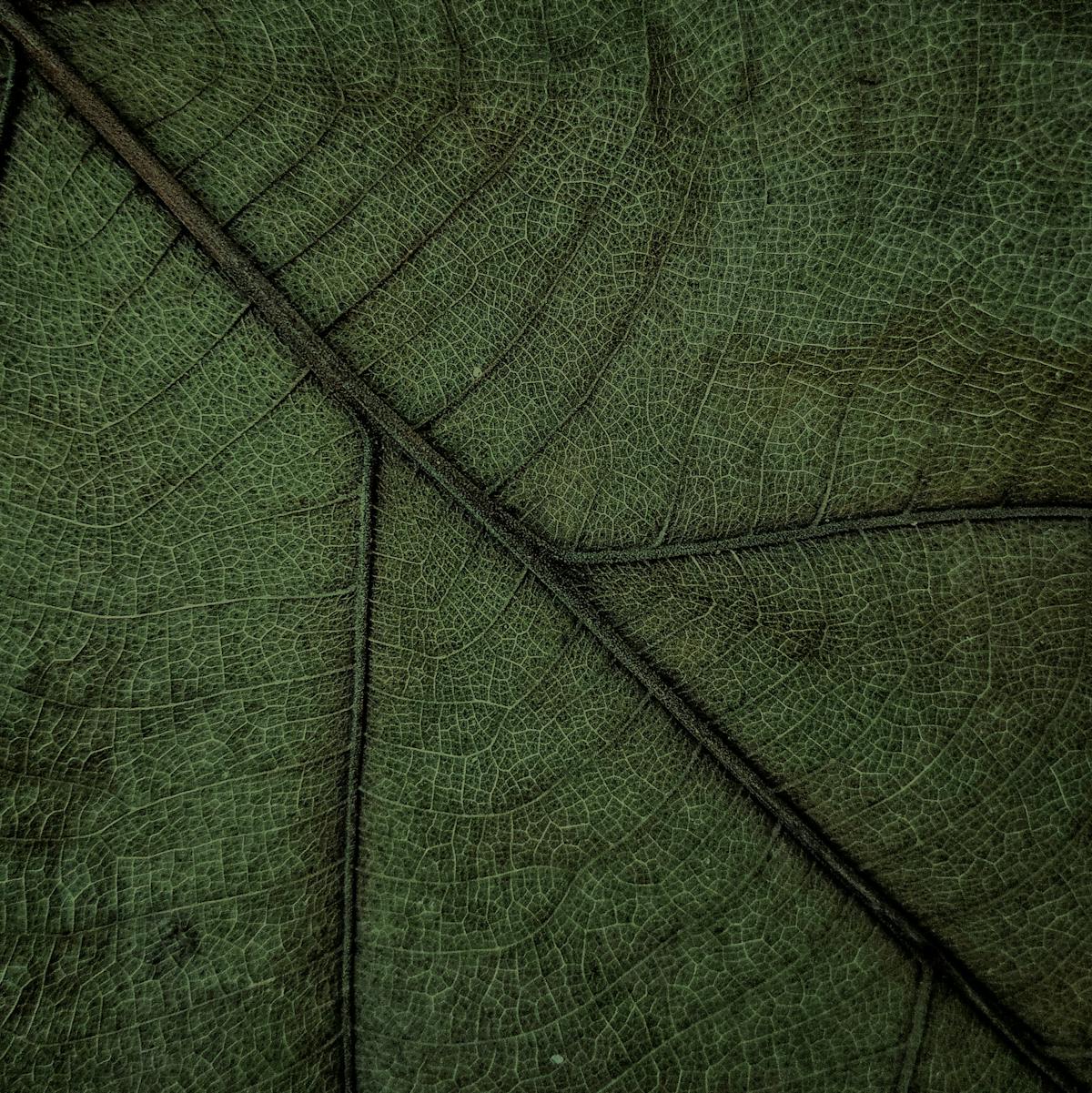 High Resolution Macro Images Of Landmarks Photos, Download The BEST ...