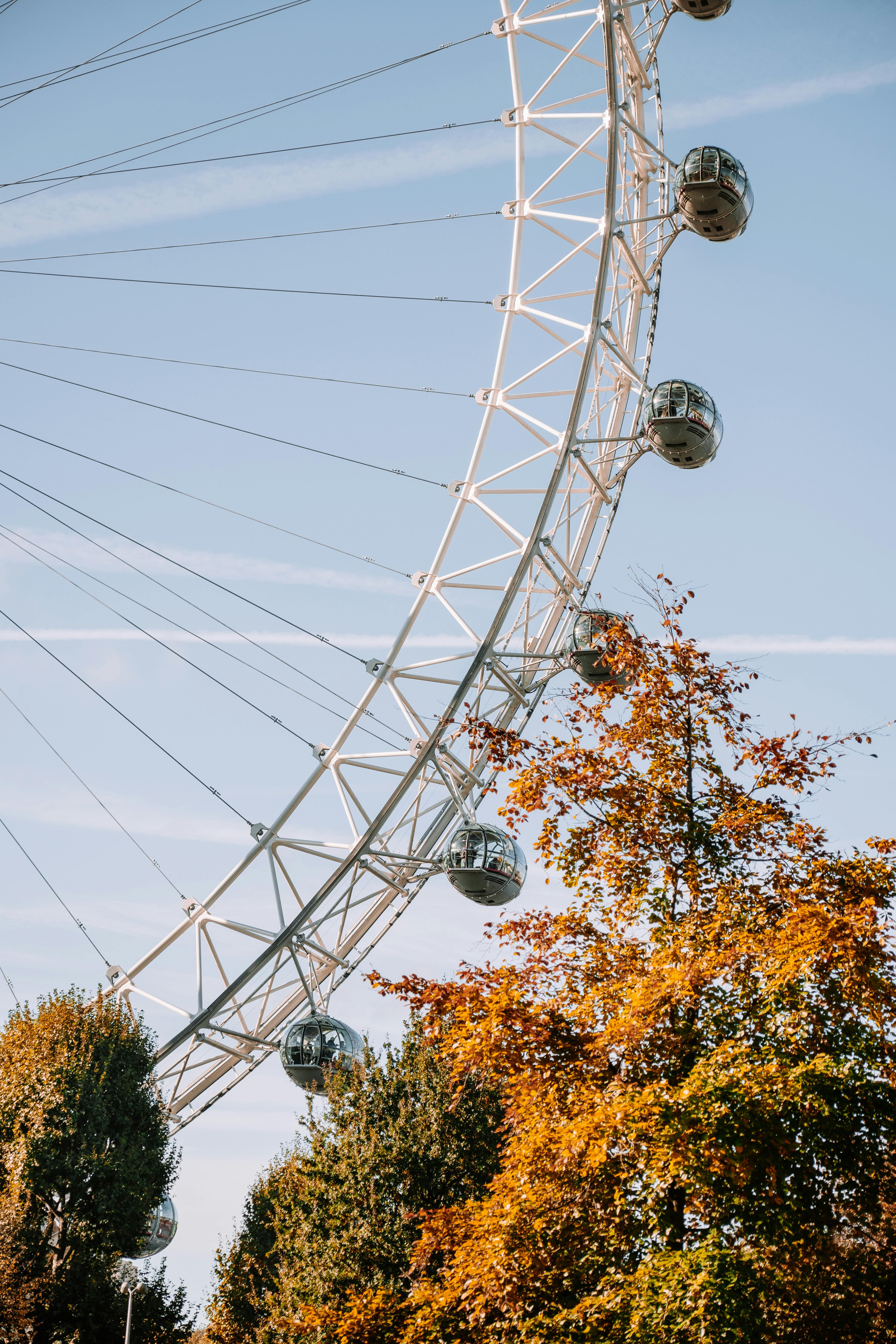 Autumn View of Iconic Ferris Wheel · Free Stock Photo