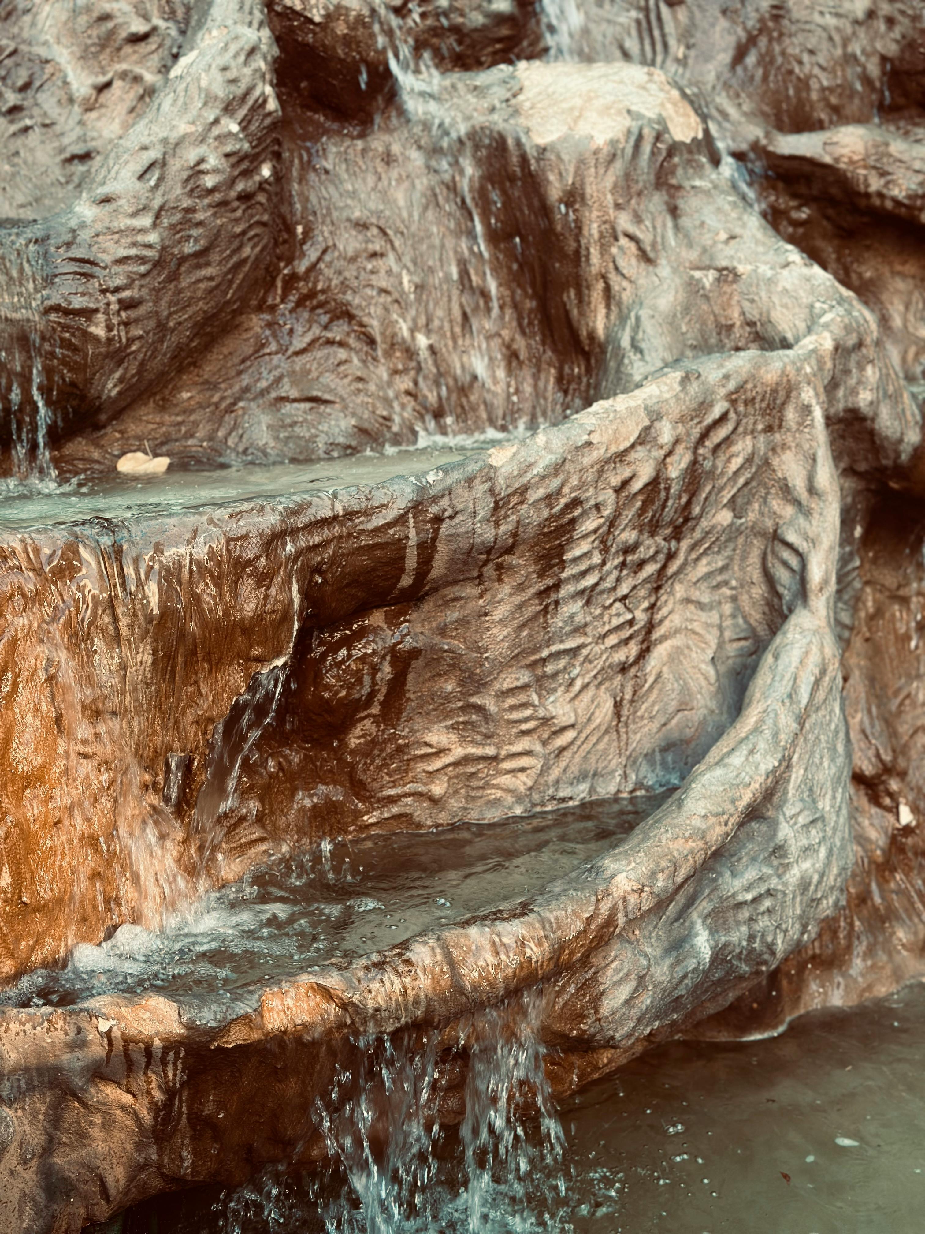 Hafize Balcı - 摄影