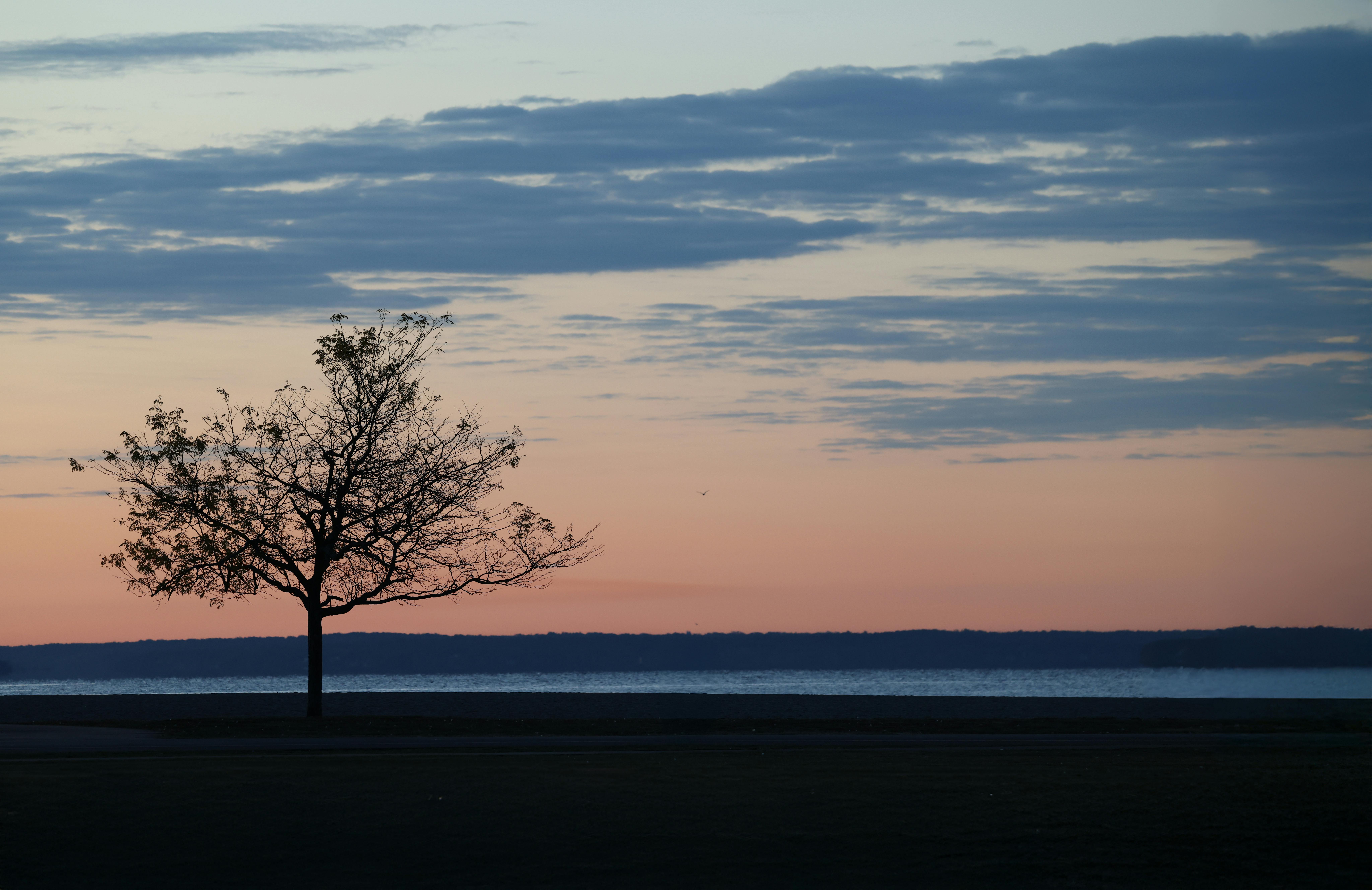 Man Looking at Lonely Mountain and River in Light of Rising Sun · Free ...