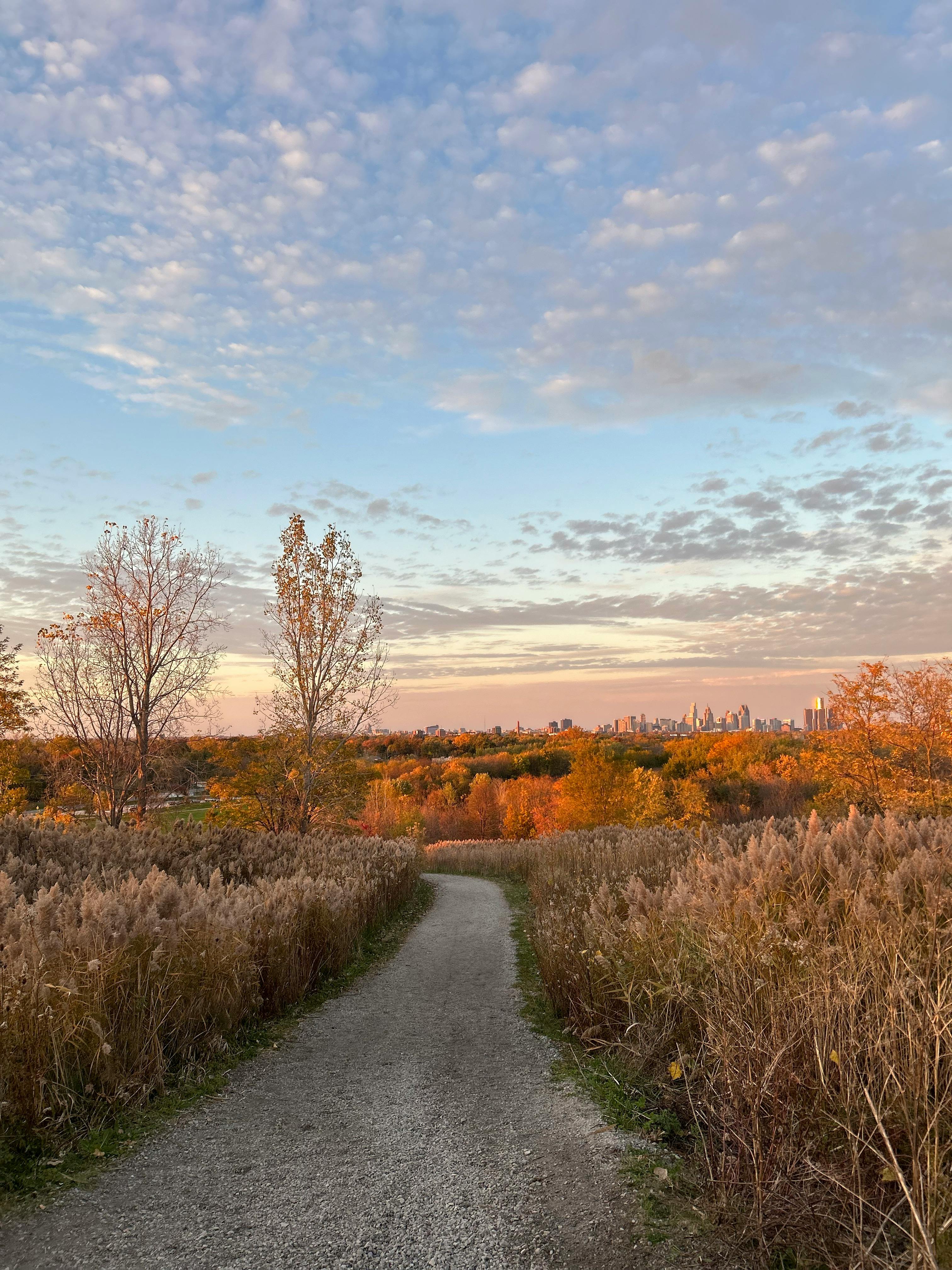 Sunset Pathway Photos, Download The BEST Free Sunset Pathway Stock ...
