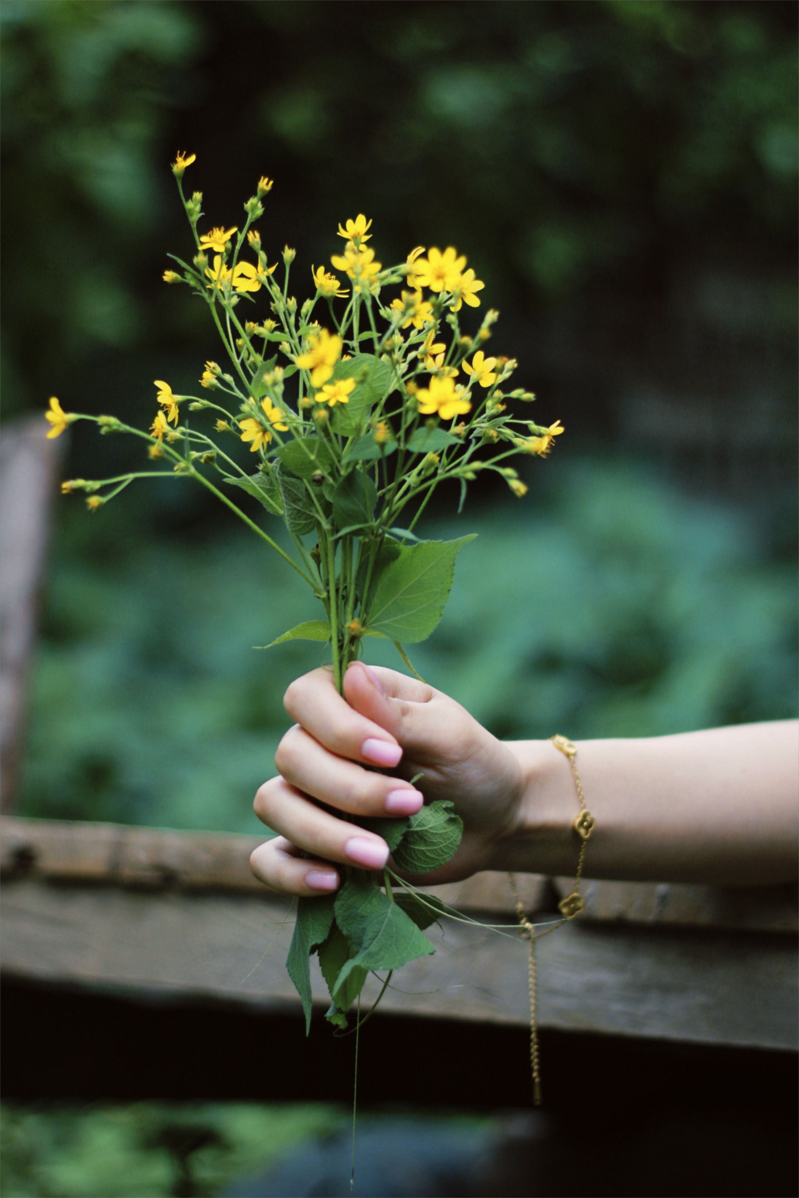 Hand Holding Yellow Wildflower Bouquet Outdoors · Free Stock Photo