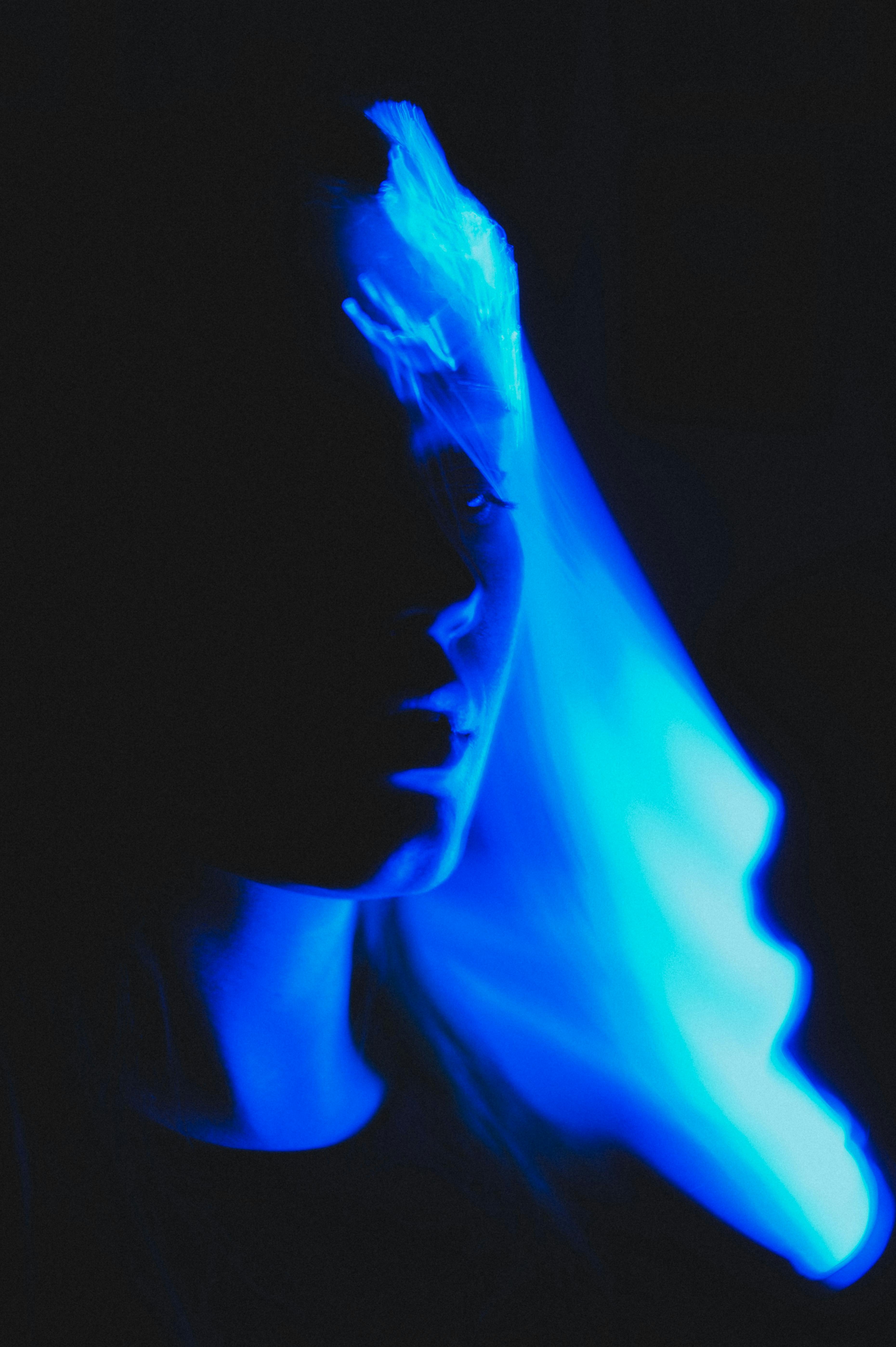 Artistic Portrait with Neon Light Veil Effect · Free Stock Photo