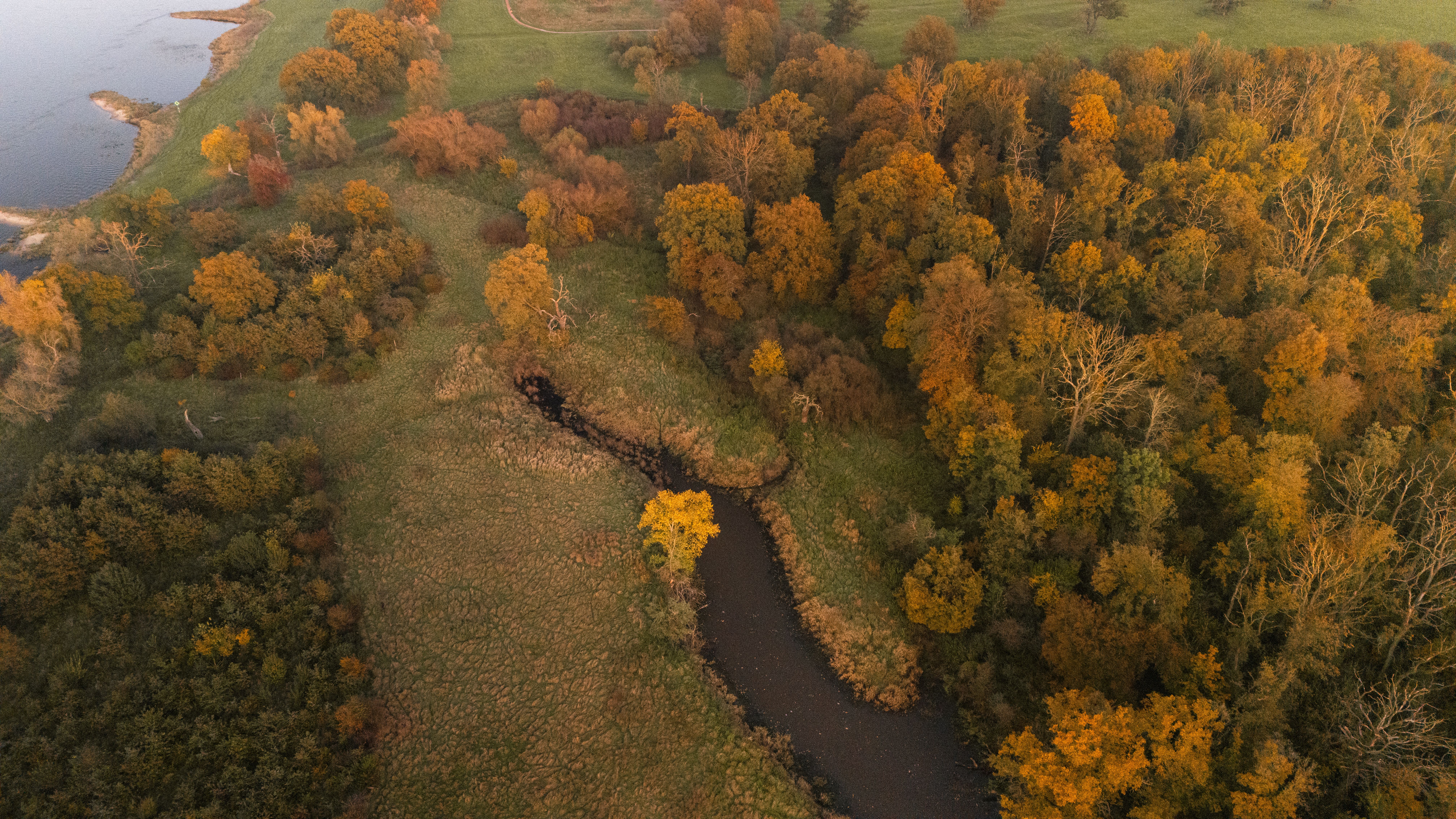 Aerial View of Scenic Autumn Forest and River Bend · Free Stock Photo