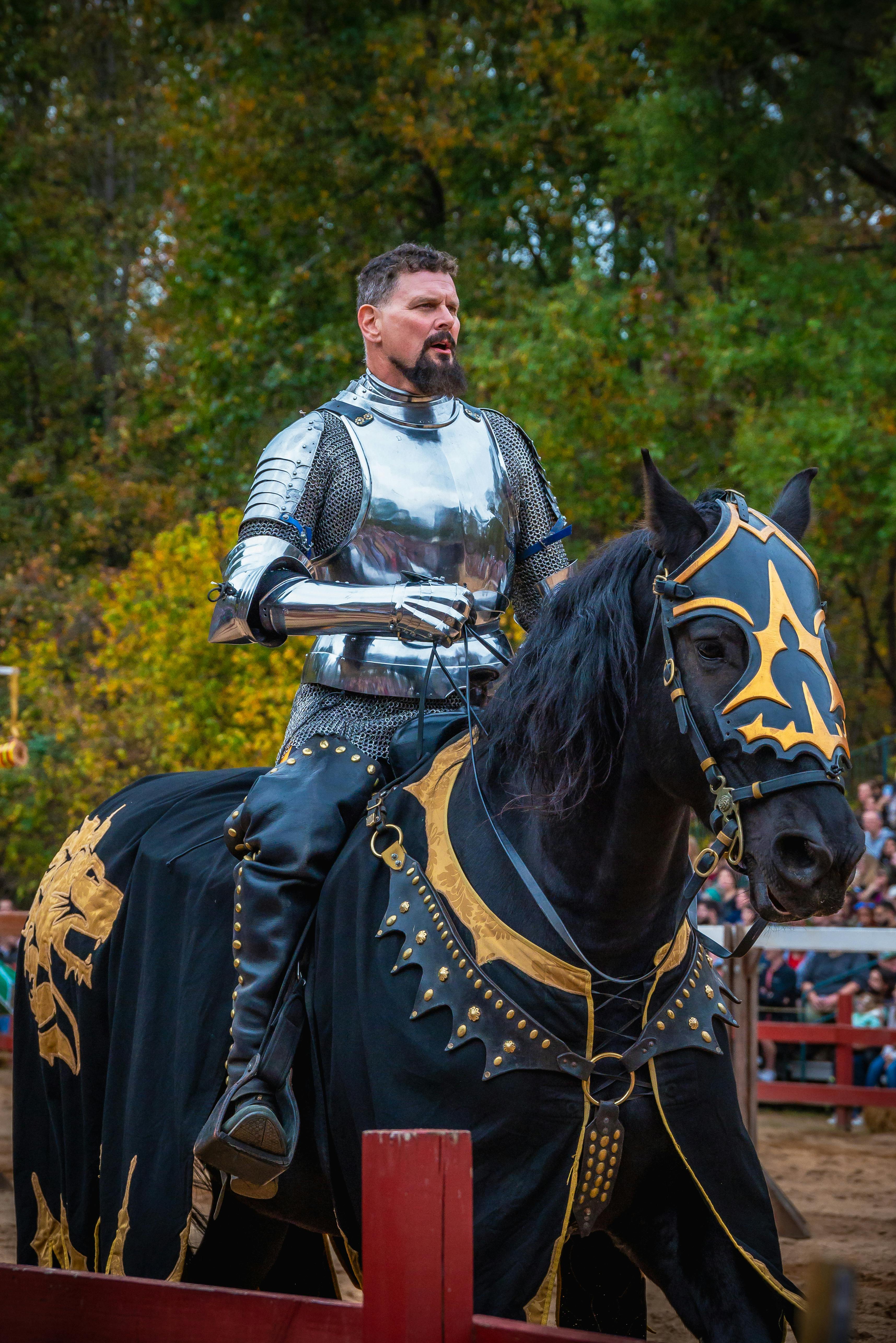 Knight in Shining Armor on Horseback at Medieval Fair · Free Stock Photo