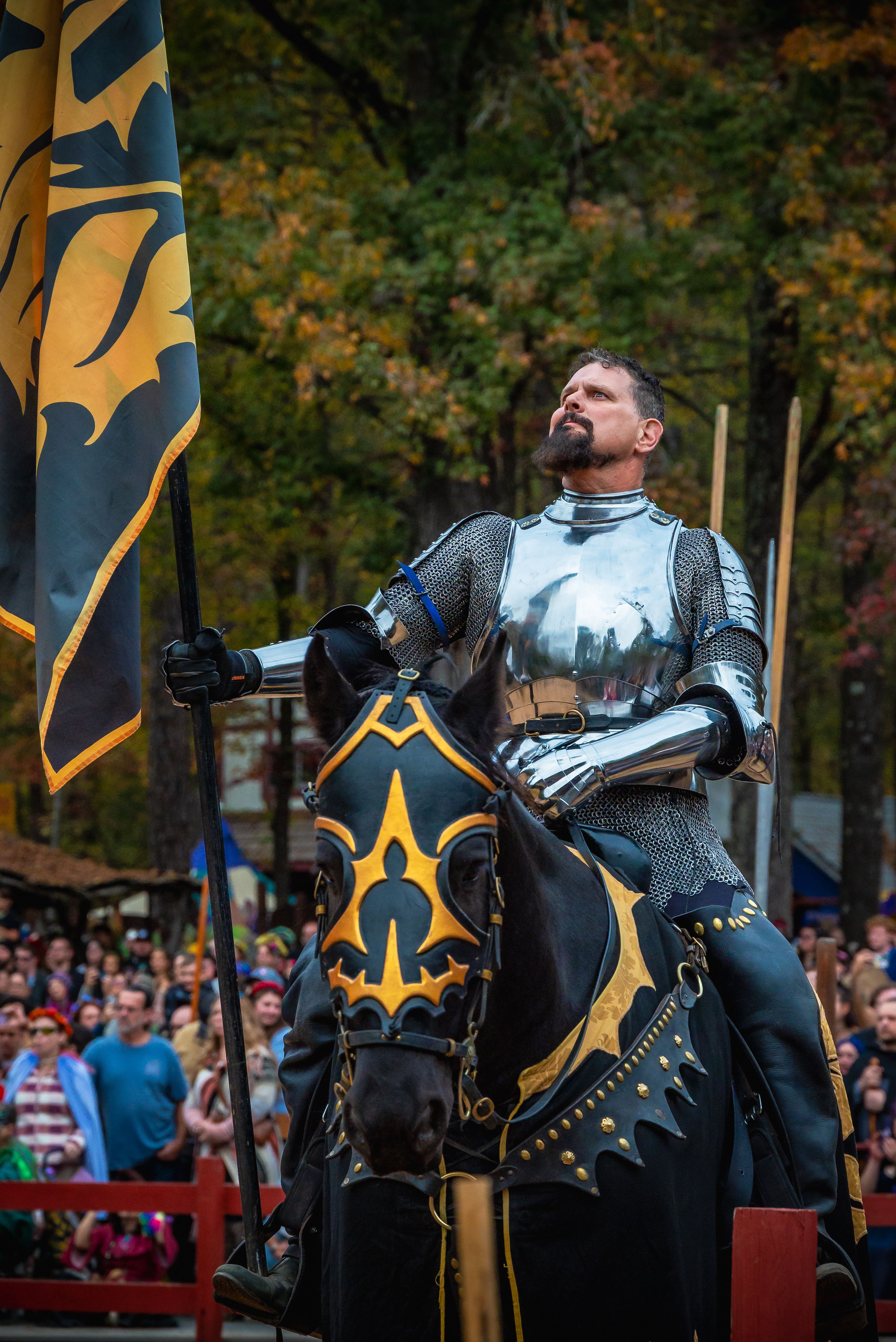 Medieval Knight on Horseback Holding Banner · Free Stock Photo