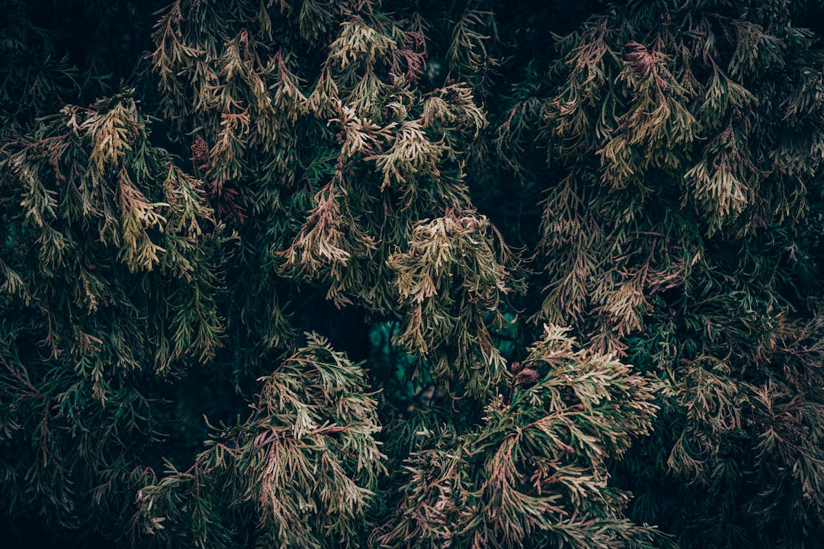 Dm Background Photos, Download The BEST Free Dm Background Stock Photos ...