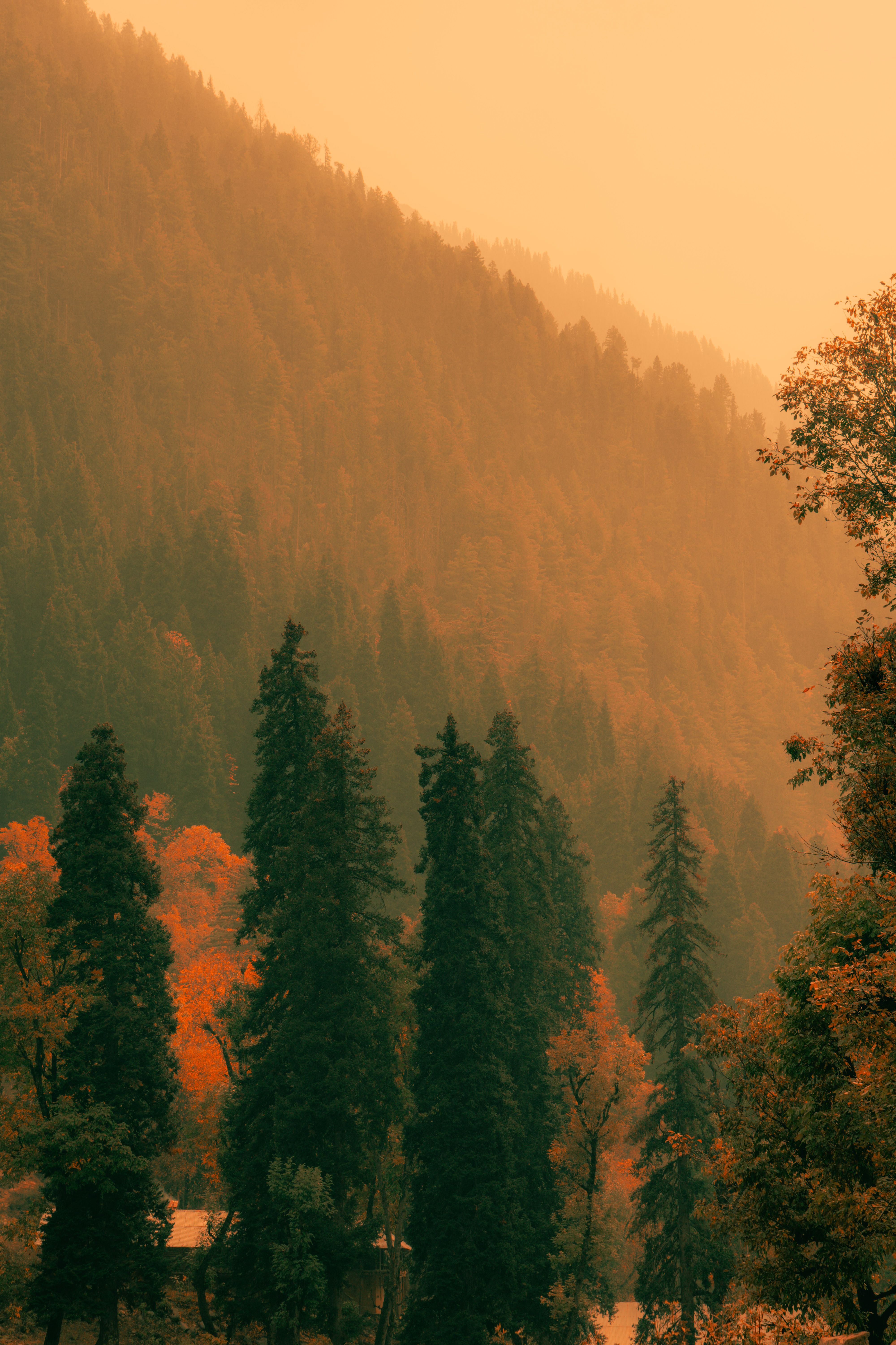 8k Earth India Landscape Photos, Download The BEST Free 8k Earth India ...