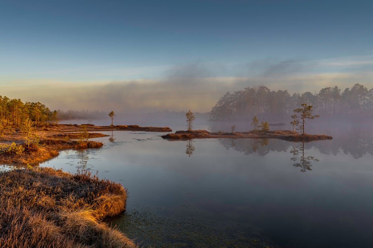 Peat Photos, Download The BEST Free Peat Stock Photos & HD Images