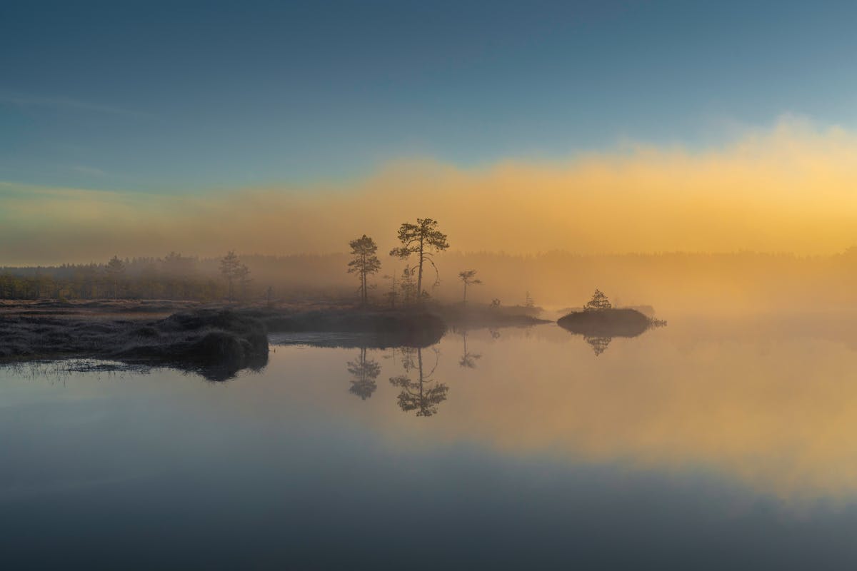 Bog Photos, Download The BEST Free Bog Stock Photos & HD Images