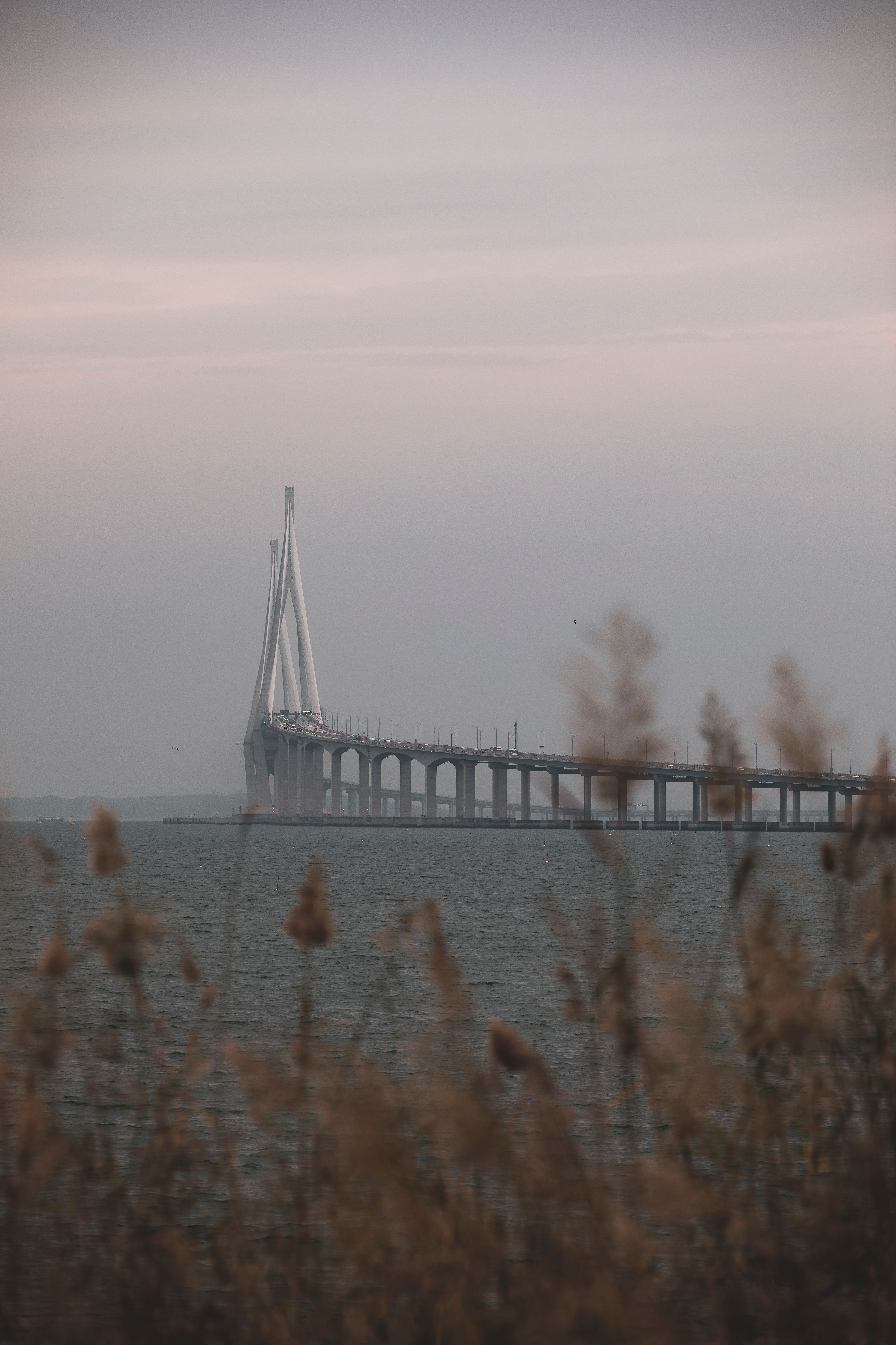 Elegant Bridge Over Calm Waters at Dusk · Free Stock Photo