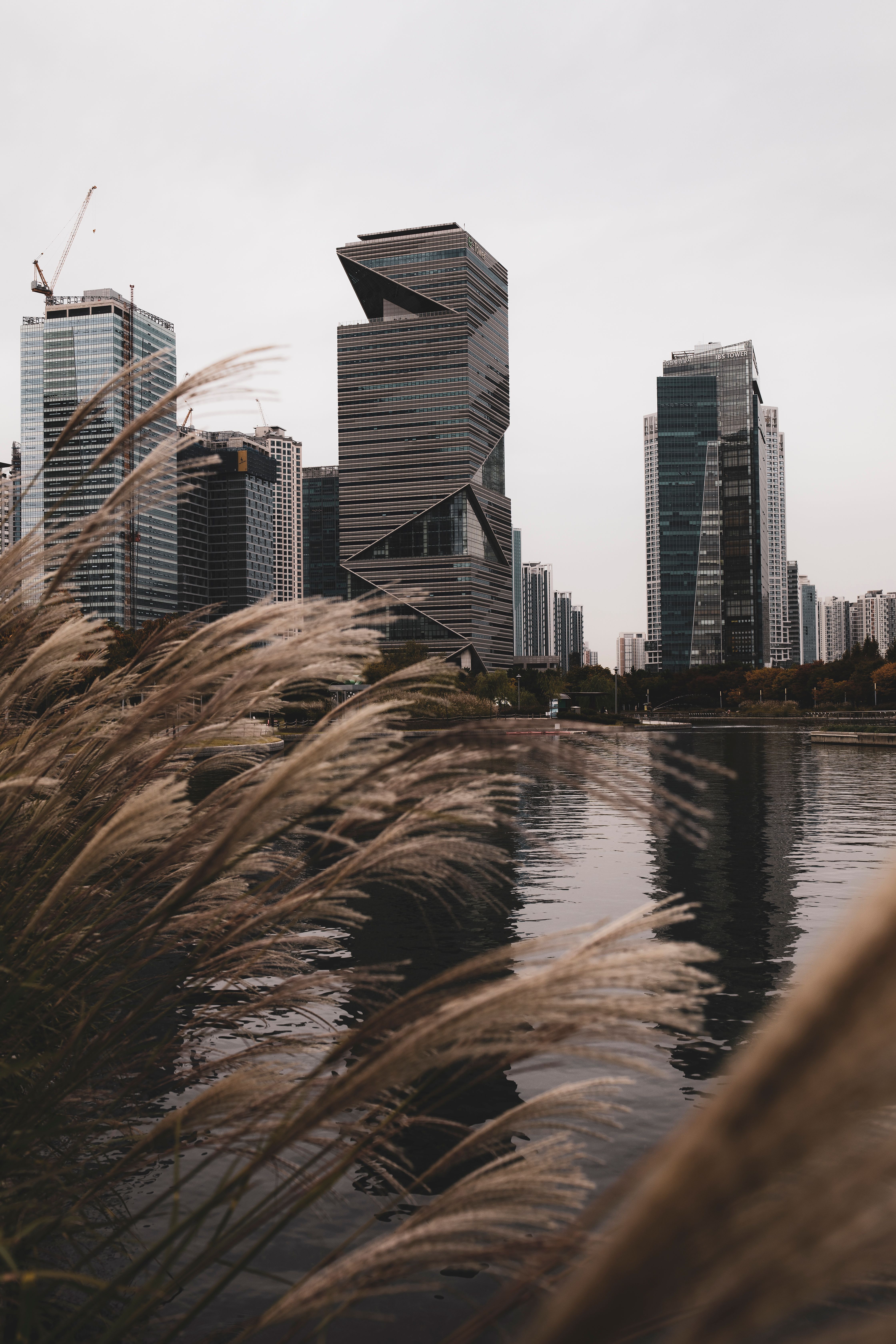 Modern Urban Skyline with Unique Architecture · Free Stock Photo