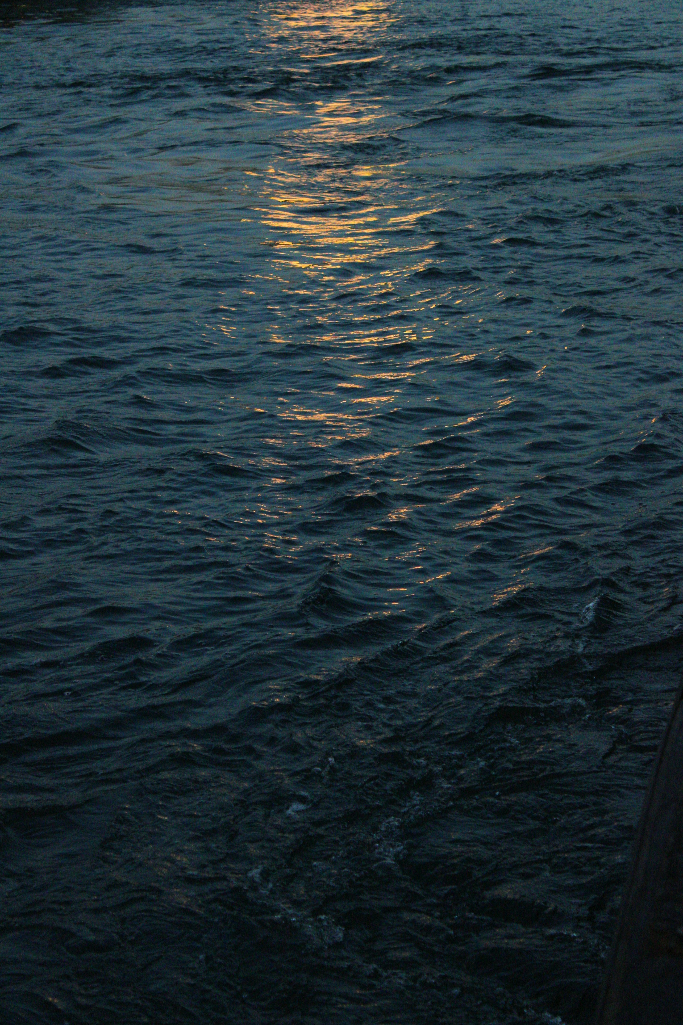 River Water Surface Photos, Download The BEST Free River Water Surface ...