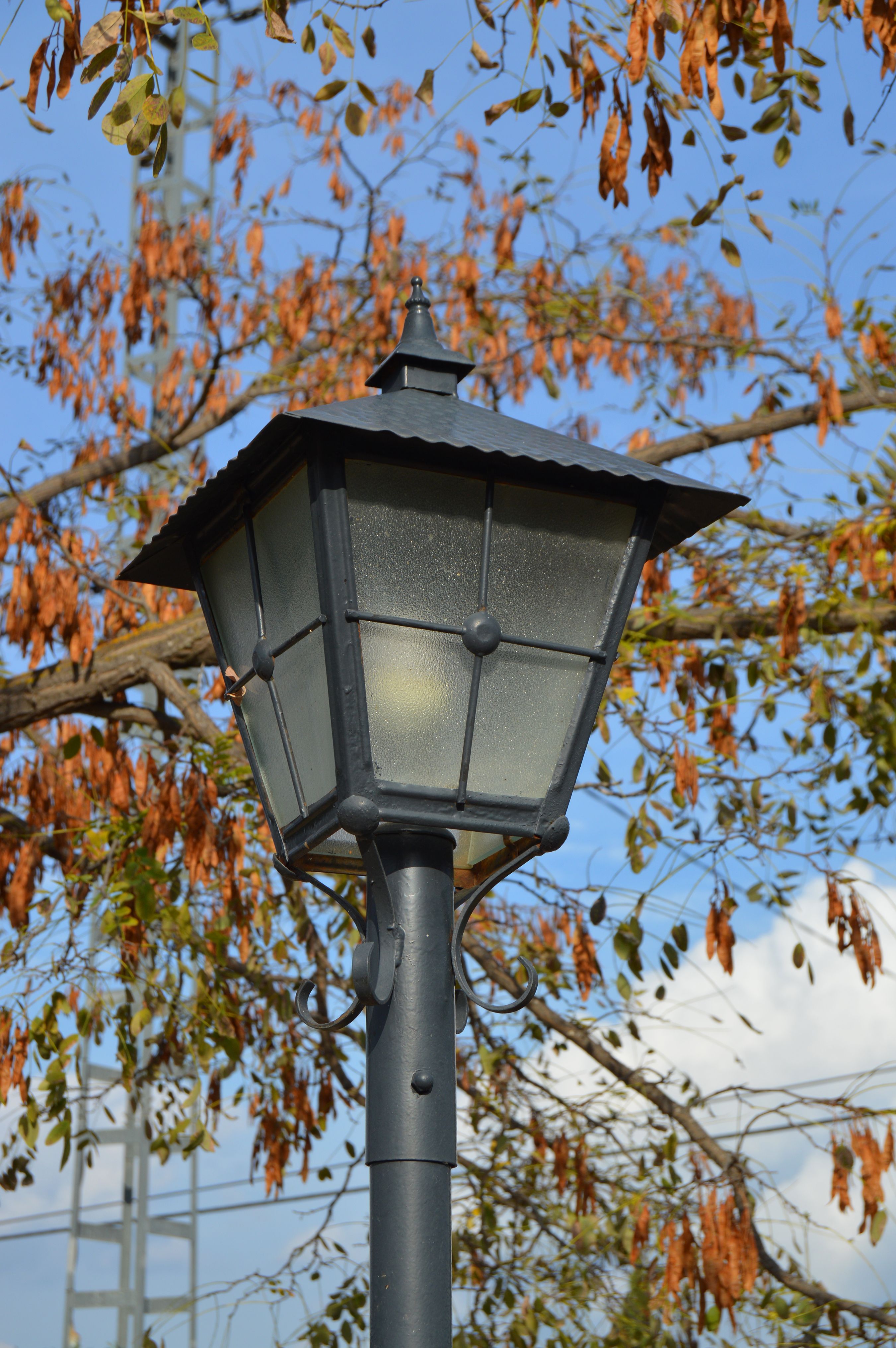 Vintage Lamp Post Against Autumn Leaves · Free Stock Photo