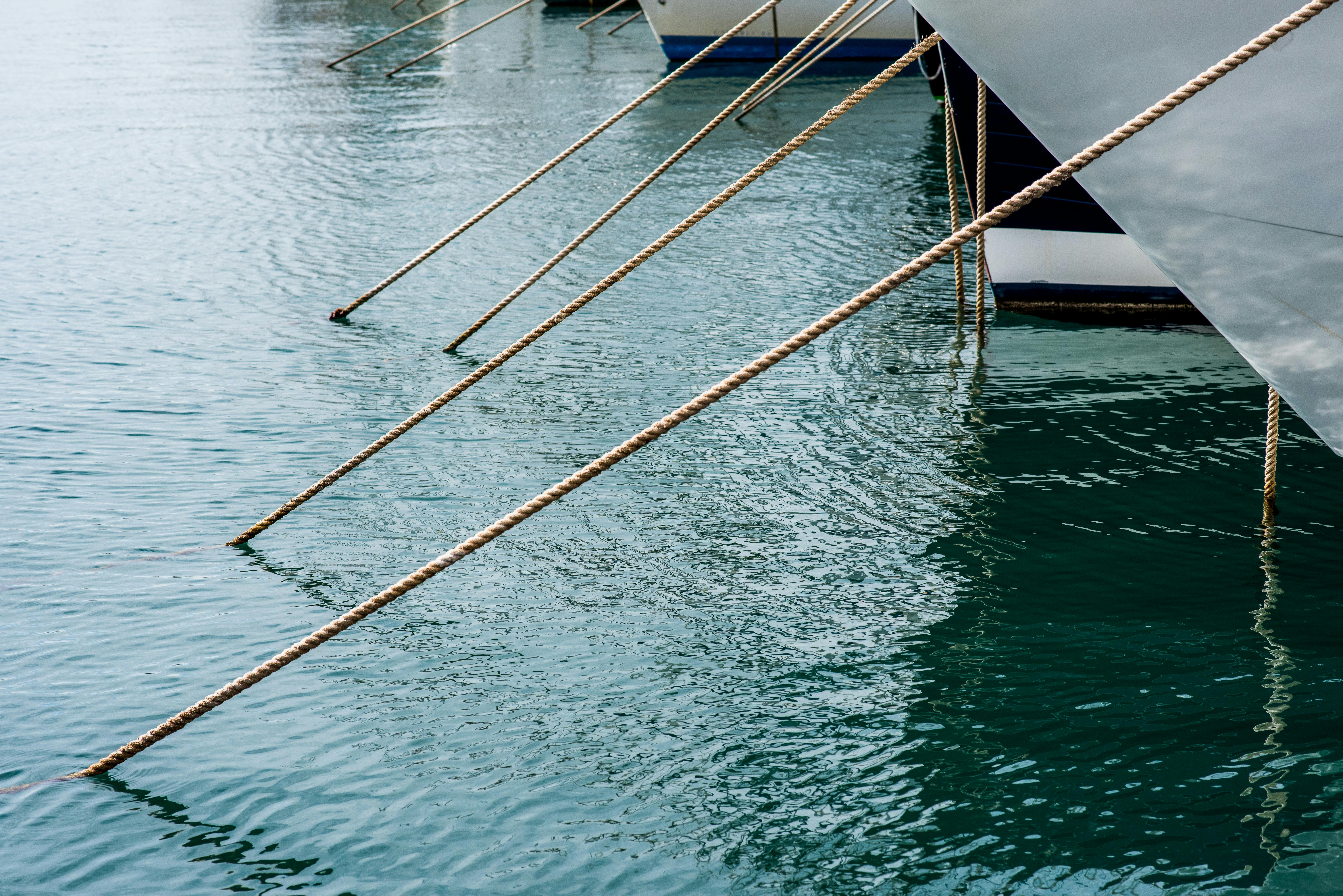 Ropes Securing Docked Boats in Tranquil Waters · Free Stock Photo