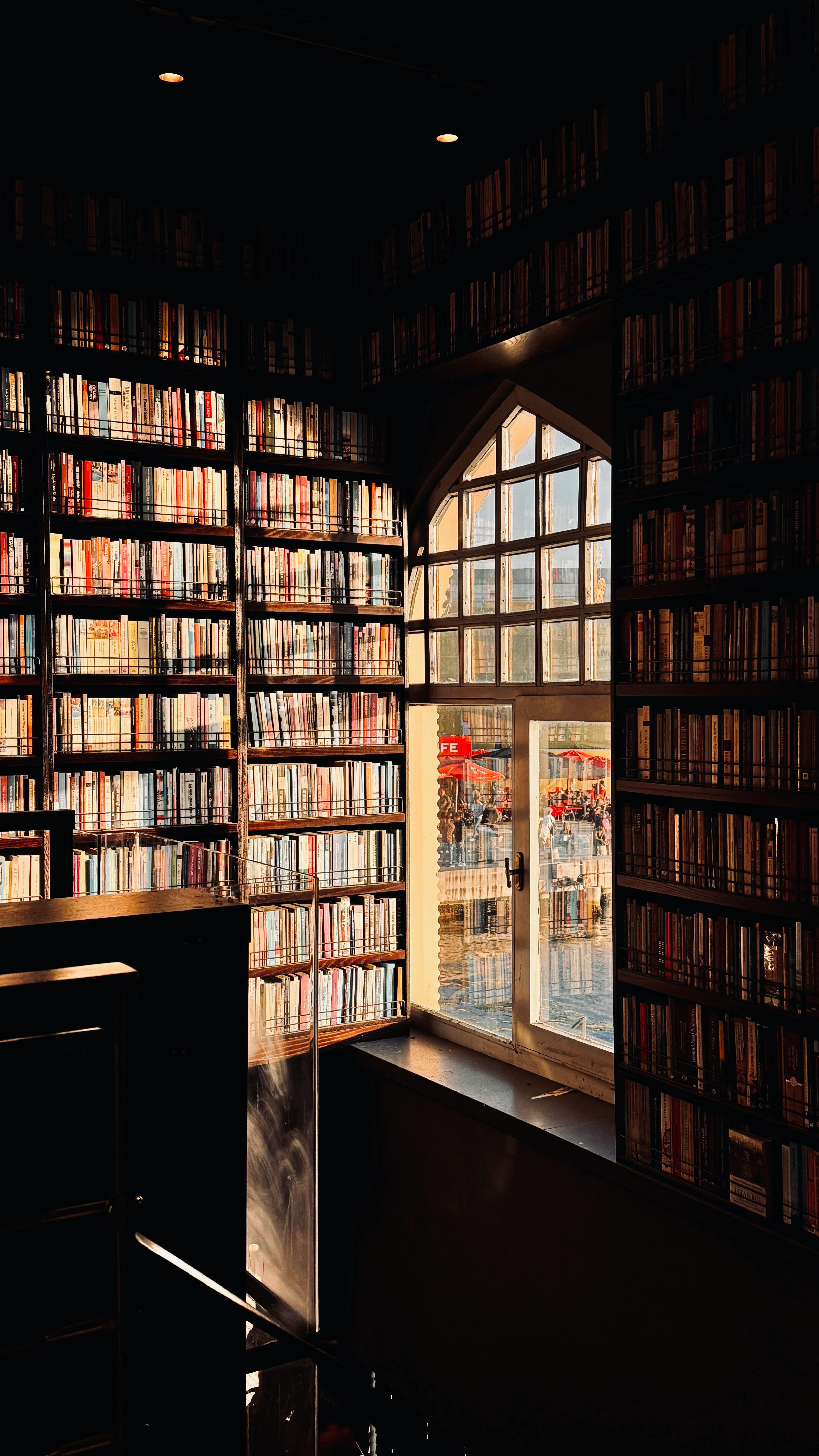 Cozy Library Window with Sunlit Bookshelves · Free Stock Photo