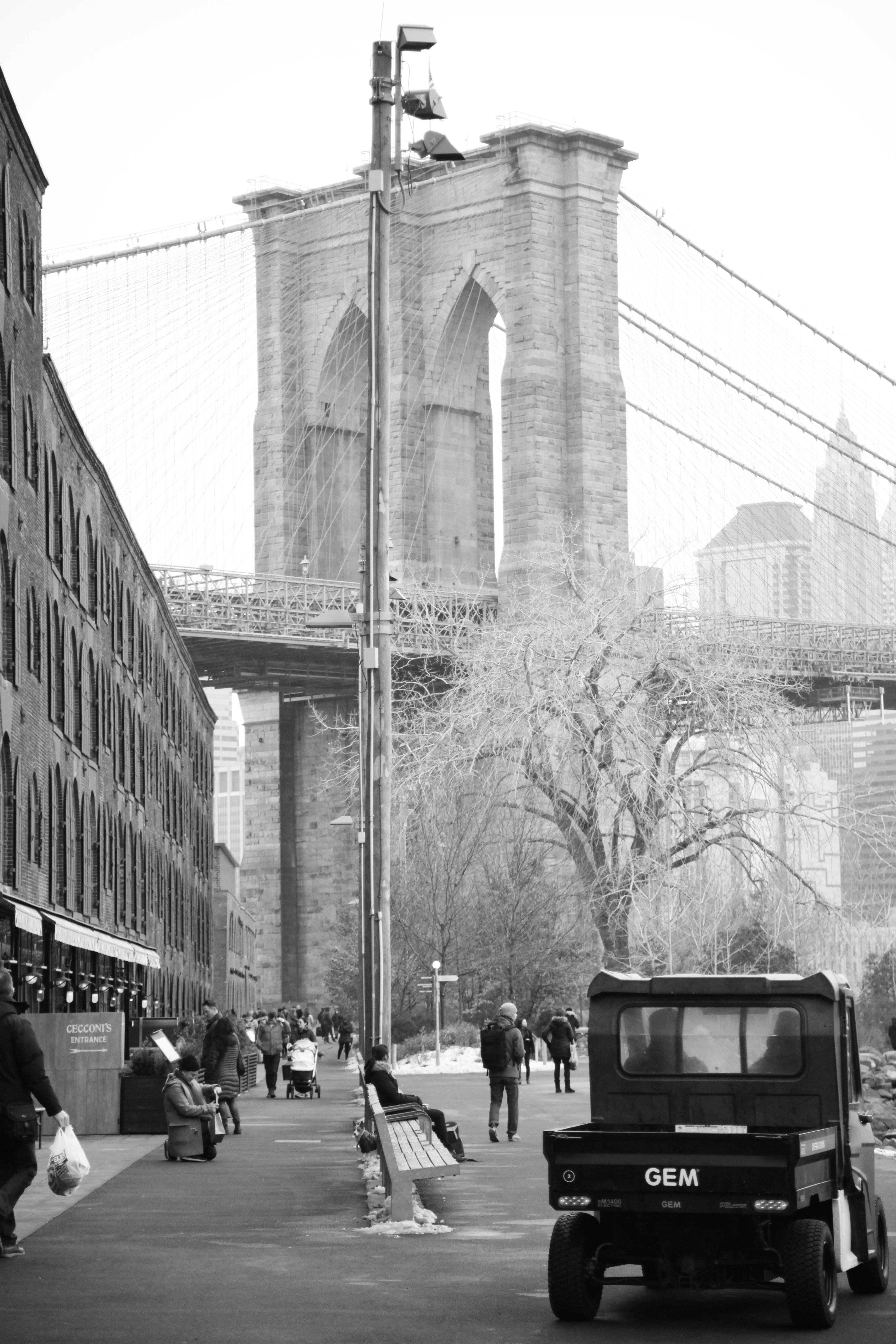 Gotham Season 4 Episode 6 Recap Photos, Download The BEST Free Gotham ...