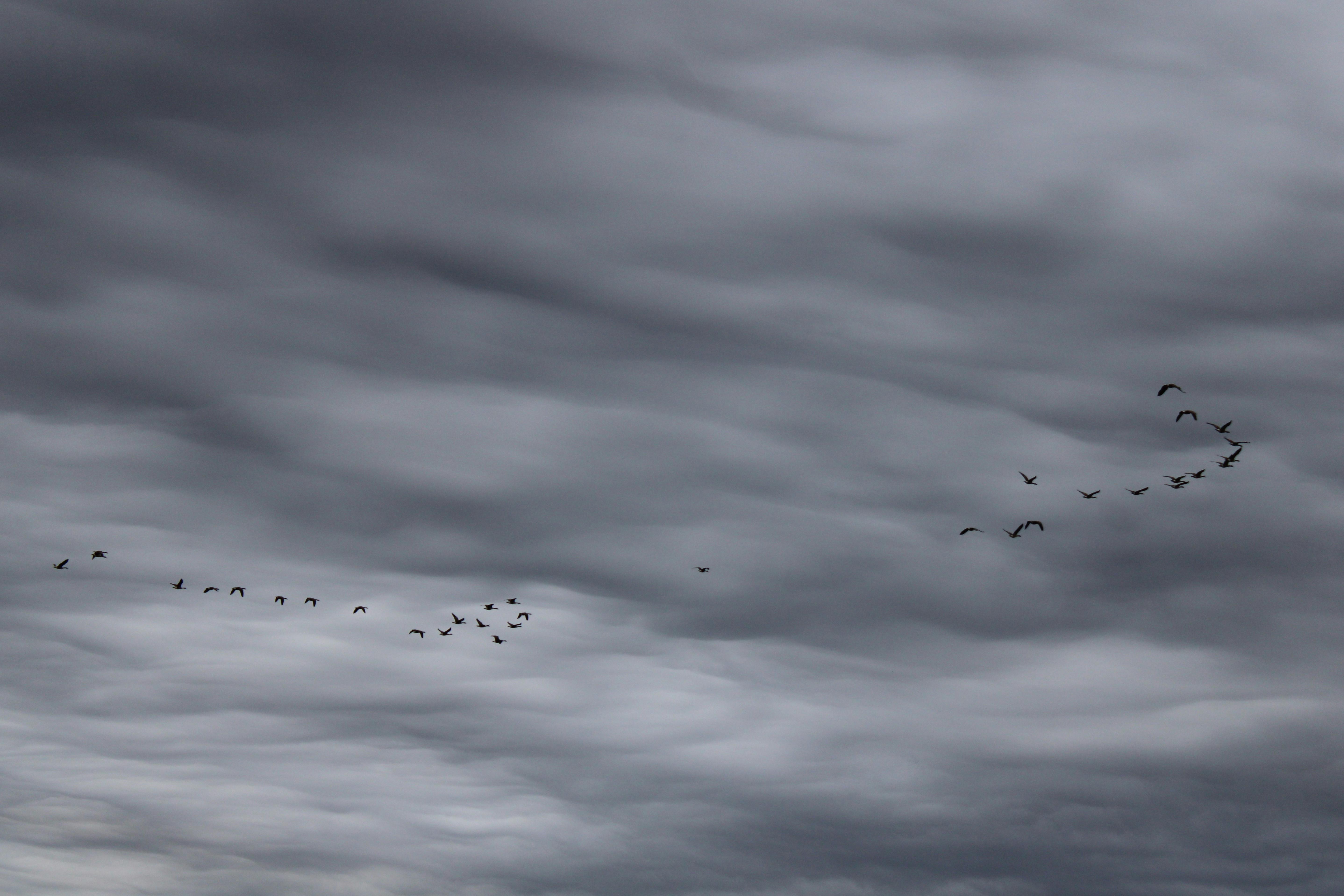 Sandra Lockett V Ohio Photos, Download The BEST Free Sandra Lockett V ...