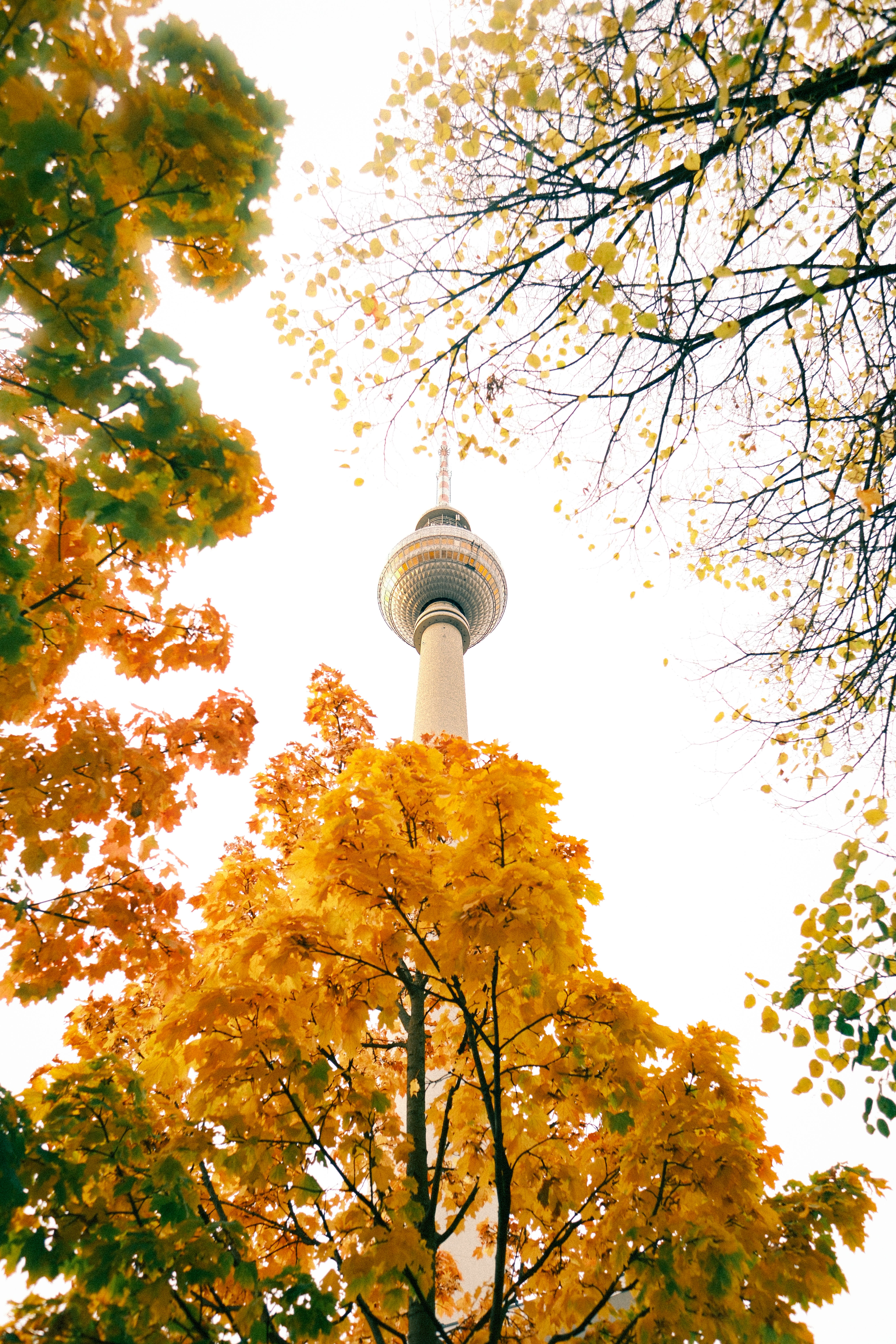Autumn View of Berlin TV Tower Amidst Colorful Leaves · Free Stock Photo