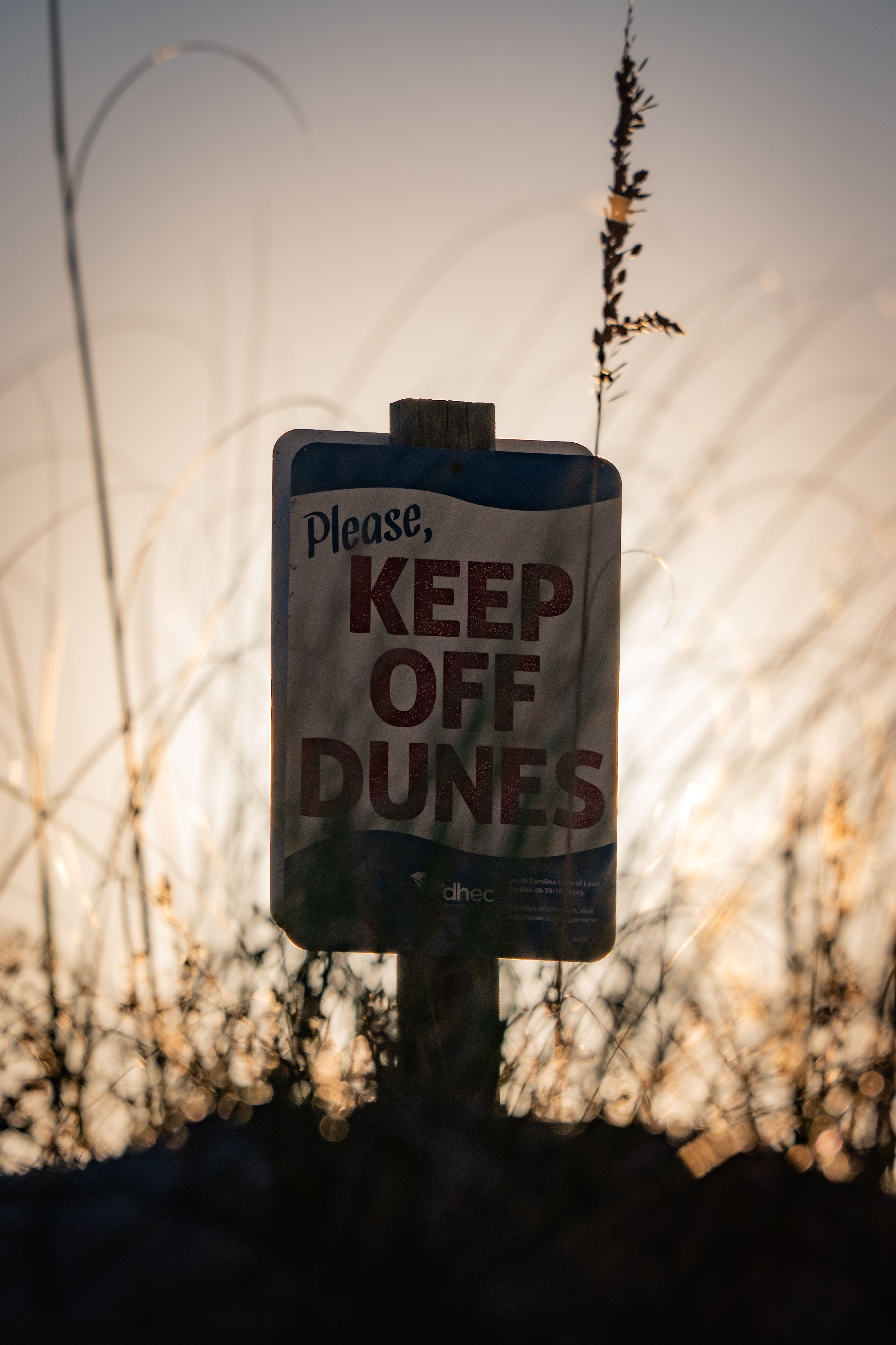 Silhouette of Keep Off Dunes Sign at Sunset · Free Stock Photo