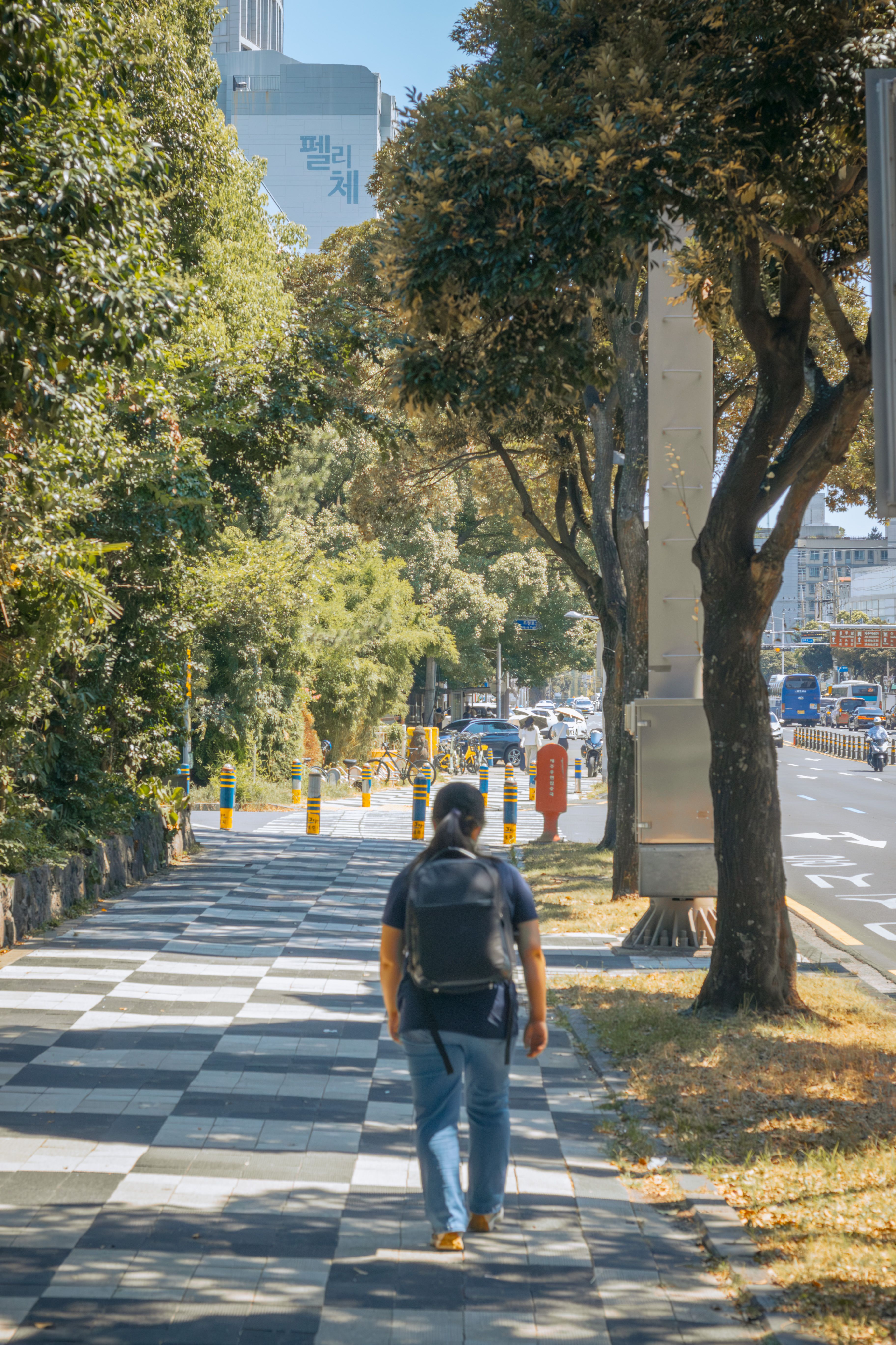 Person Walking on Sidewalk in Urban Setting · Free Stock Photo